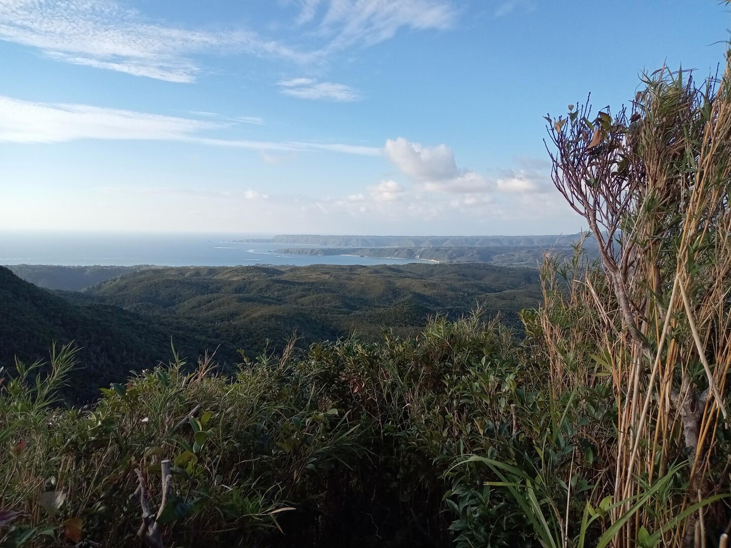 玉辻山 / zakiさんの玉辻山の活動データ | YAMAP / ヤマップ