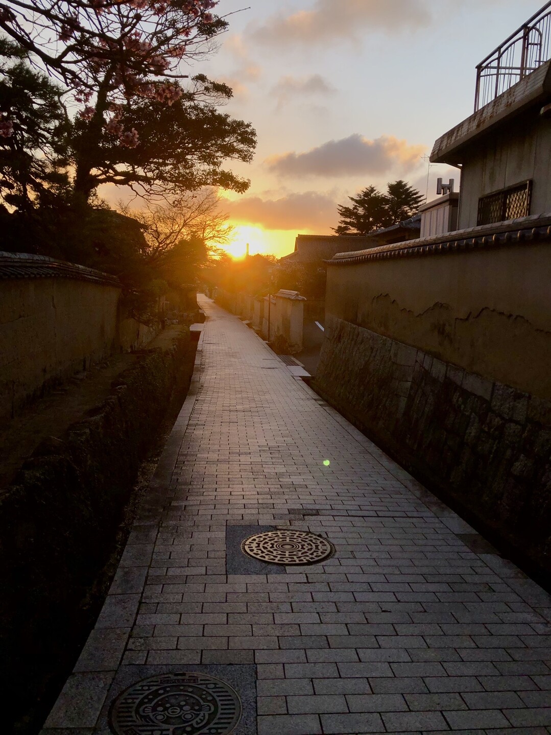 この週末から来週って感じかな？ / Ascaさんのモーメント | YAMAP / ヤマップ