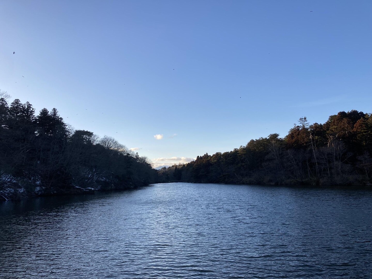 こんにちは^ ^ 今日は晴れていますが... / OBsunさんのモーメント | YAMAP / ヤマップ