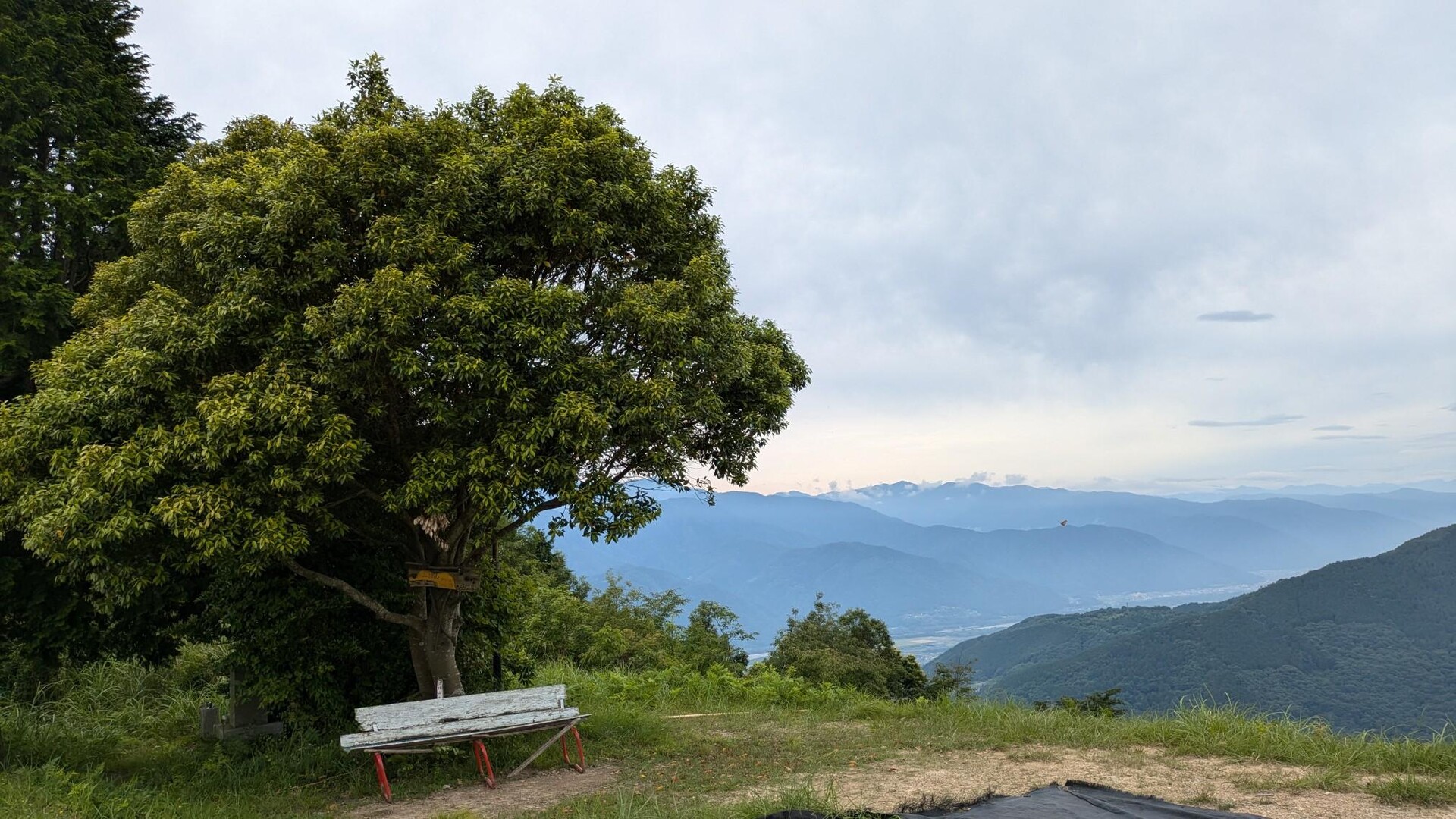 三頭山 / maoさんの竜王山（讃岐山脈）・大川山の活動データ | YAMAP / ヤマップ