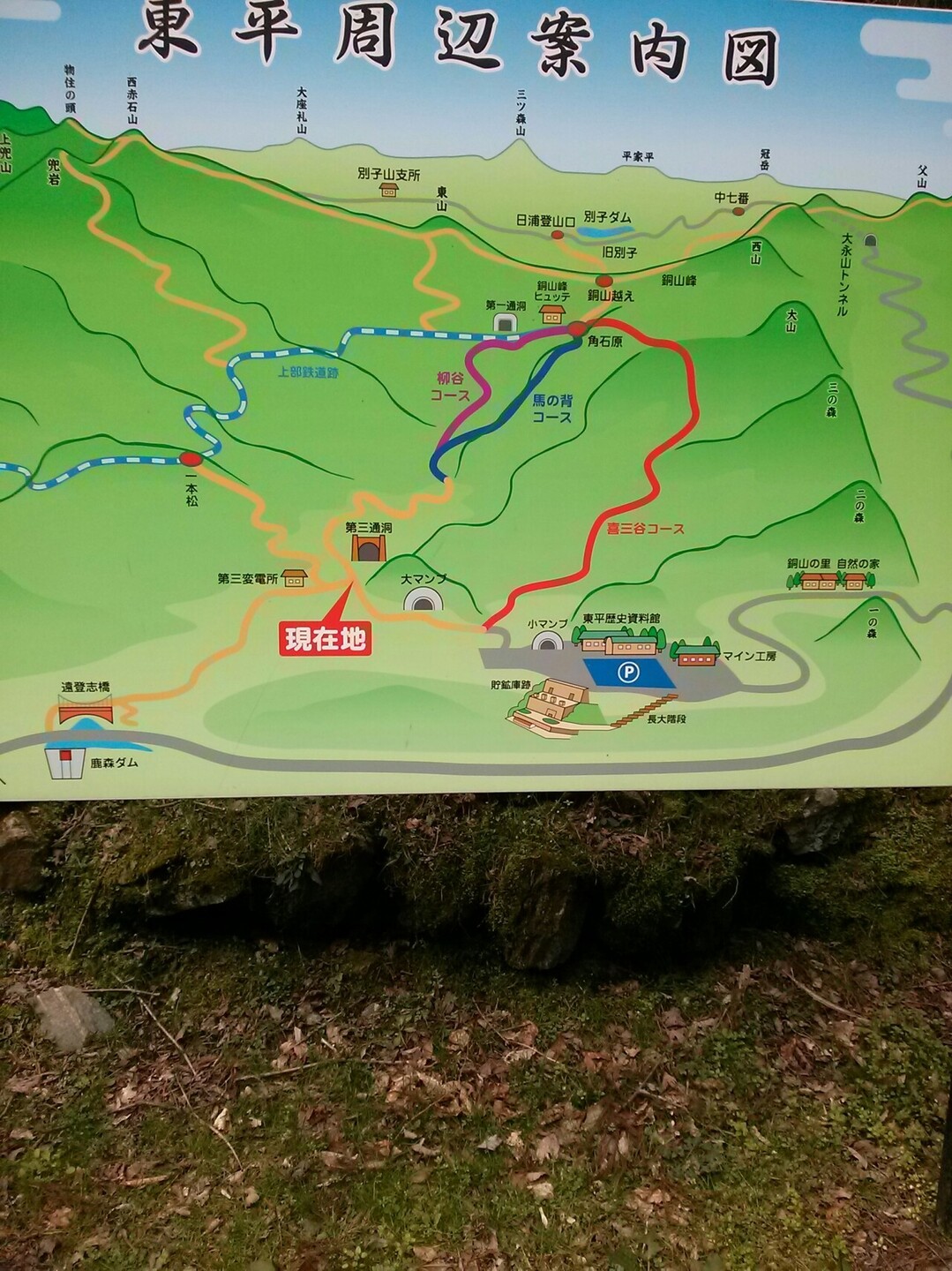 西赤石山 / はっしーさんの笹ヶ峰・寒風山・平家平の活動日記 | YAMAP / ヤマップ