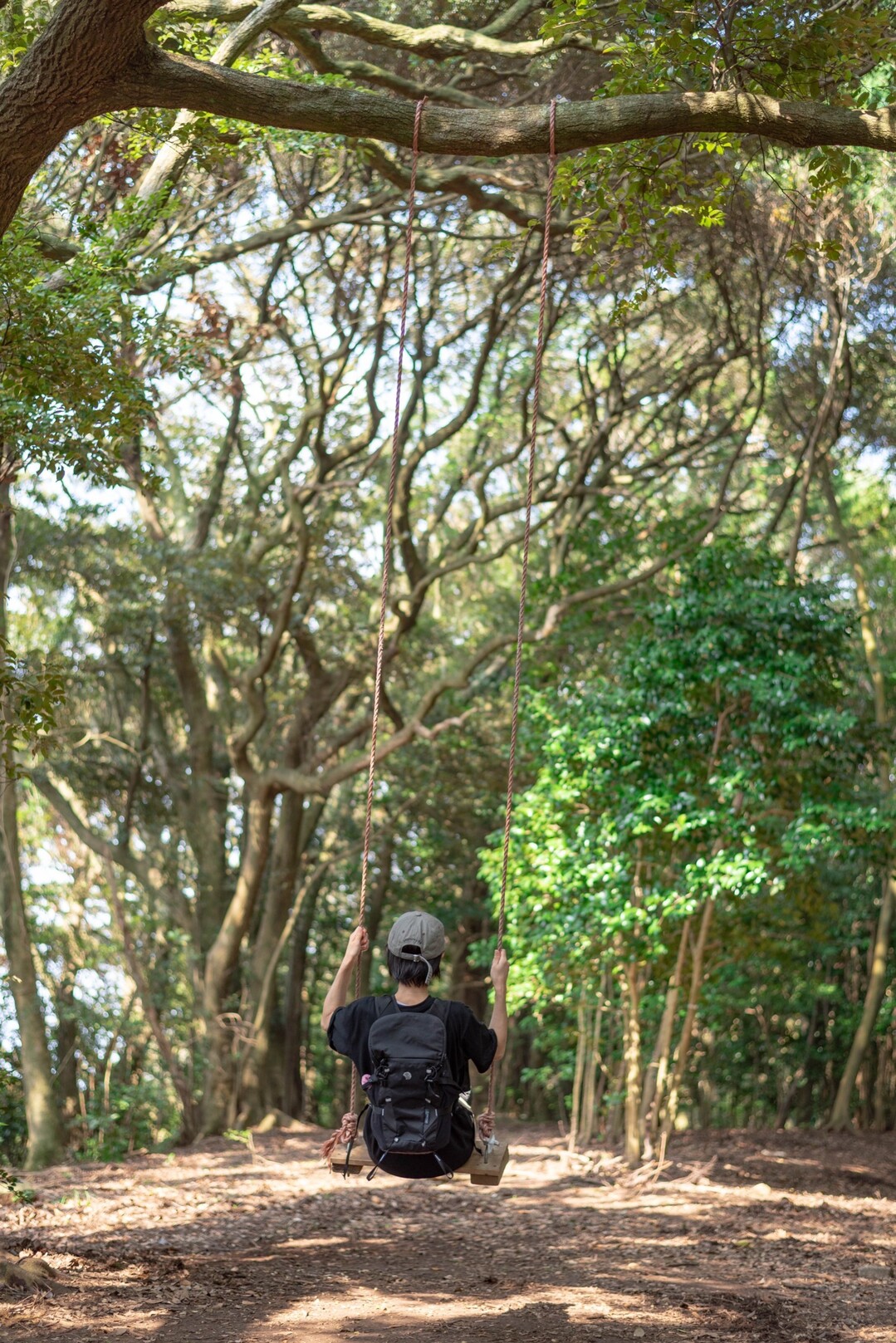 可也山ブランコさーん。 からの タイタニ... / SAYU⁂さんのモーメント | YAMAP / ヤマップ