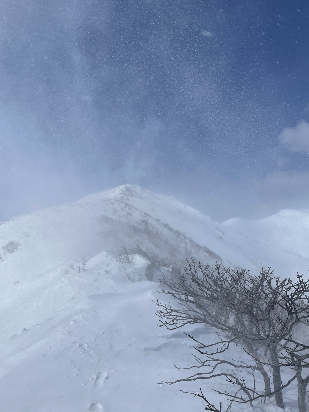 爆風の為山頂下にて撤退 / bateniceさんの蔵王山・雁戸山・不忘山の活動データ | YAMAP / ヤマップ