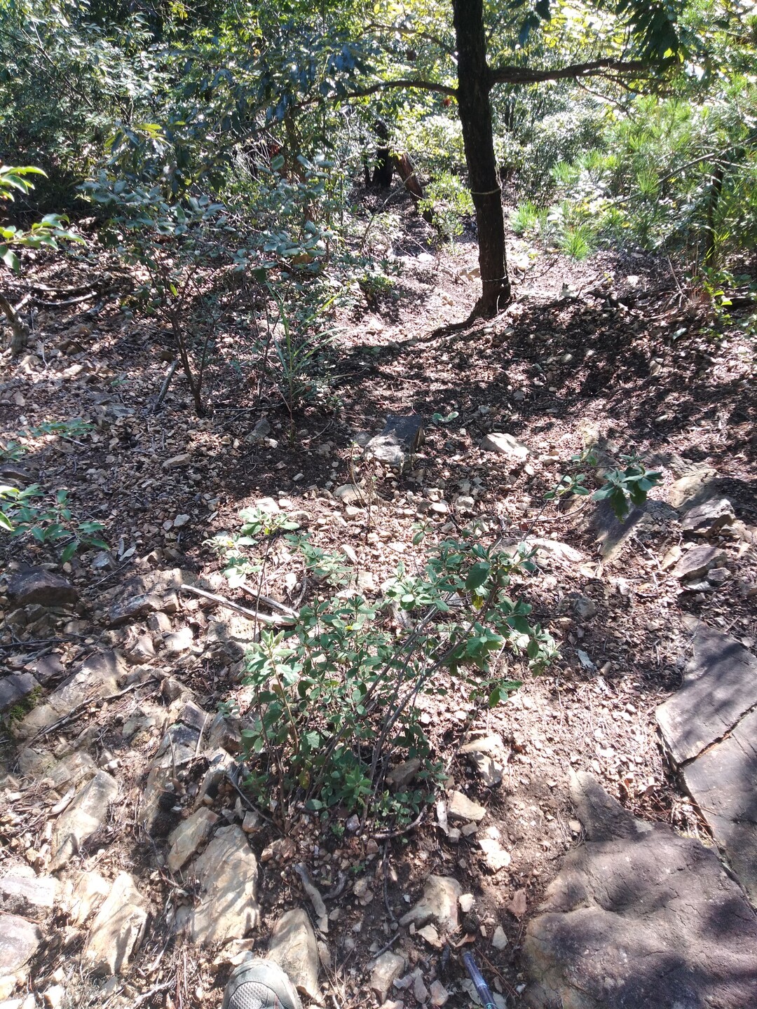 takurockさんの投稿したフィールドメモ | YAMAP / ヤマップ