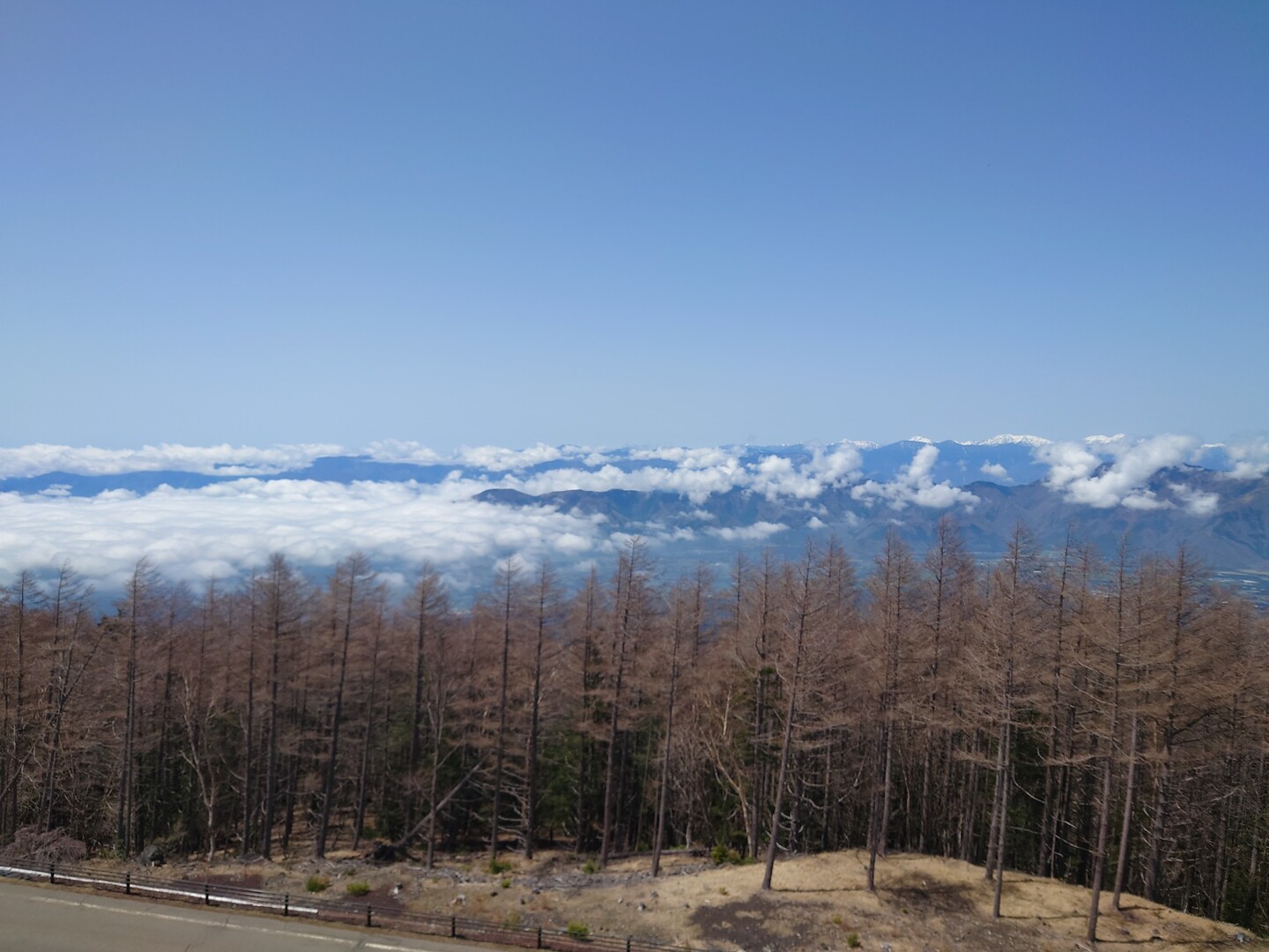 親の接待で山梨へ。富士スバルライン今日か... / Rioさんのモーメント | YAMAP / ヤマップ