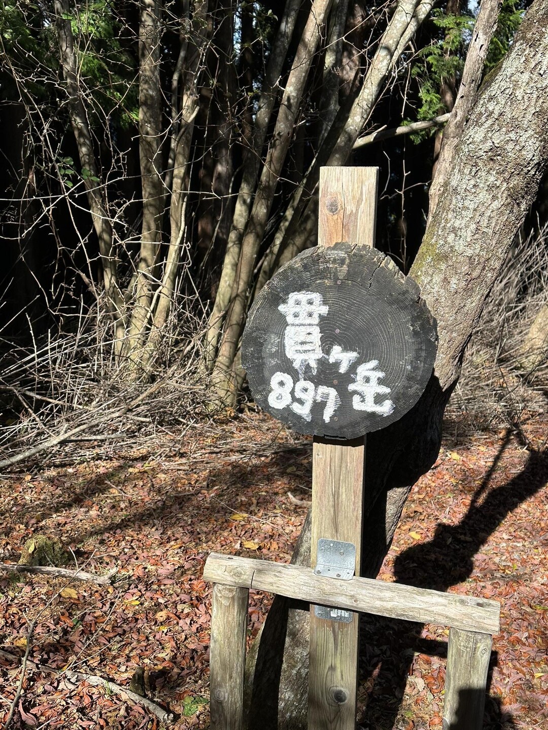 貫ヶ岳 / kaomi-ruさんの貫ヶ岳・高ドッキョウの活動データ | YAMAP / ヤマップ