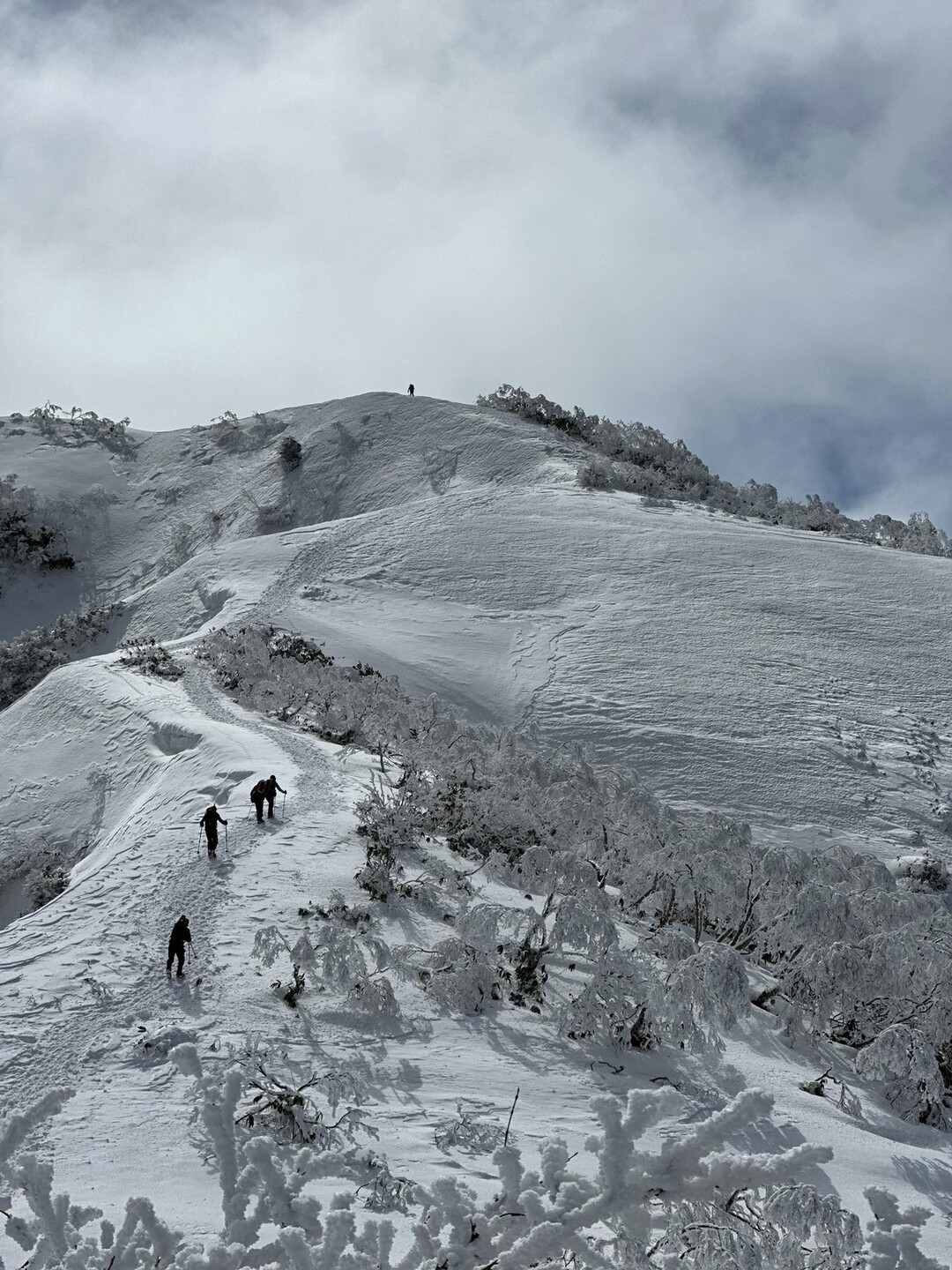 深谷ノ頭・前荒島岳・中荒島岳・荒島岳 / renkun.009さんの荒島岳の活動データ | YAMAP / ヤマップ