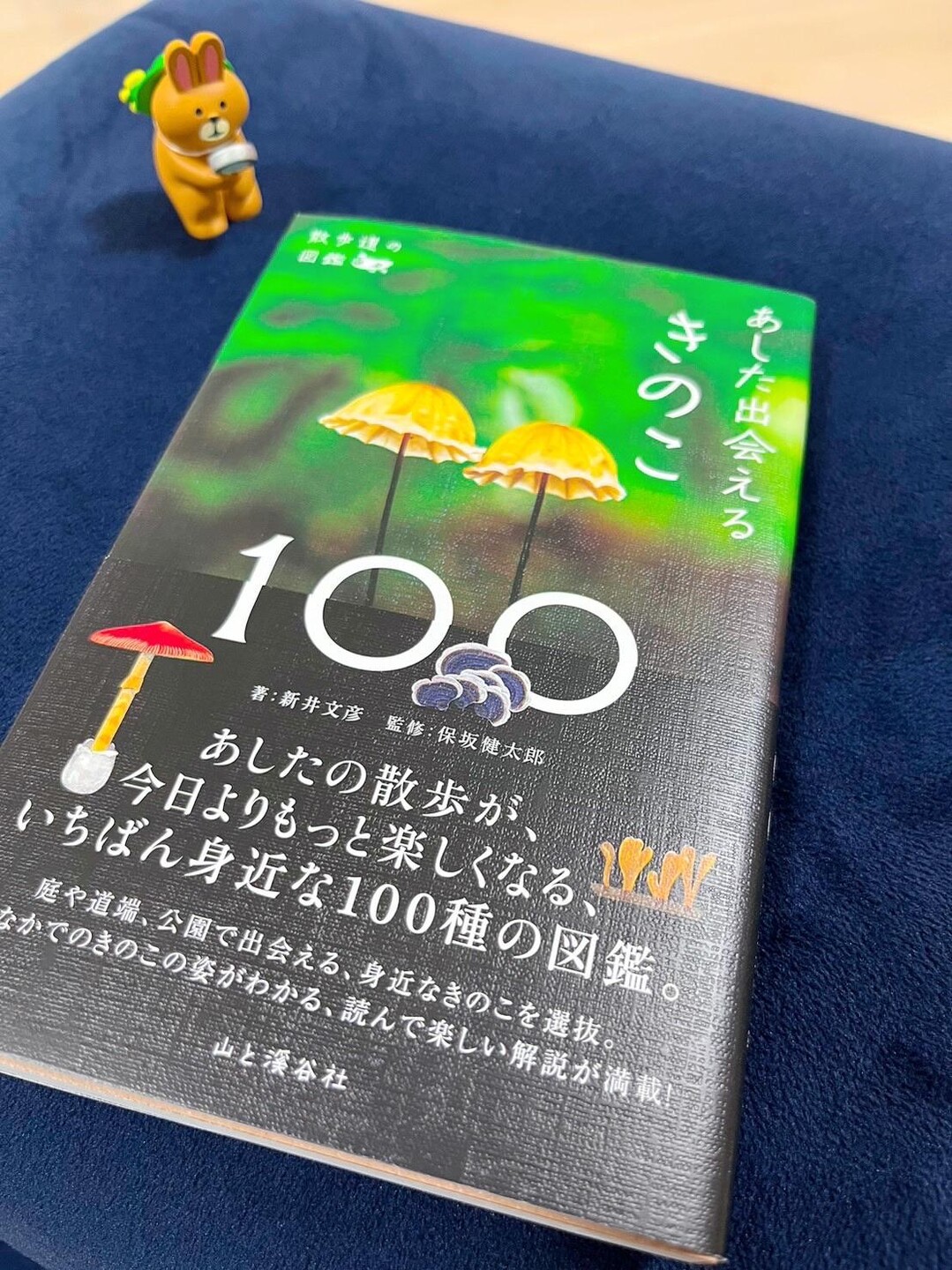 いい本見つけたっ！🍄📗😊 よく... / kazさんのモーメント | YAMAP / ヤマップ