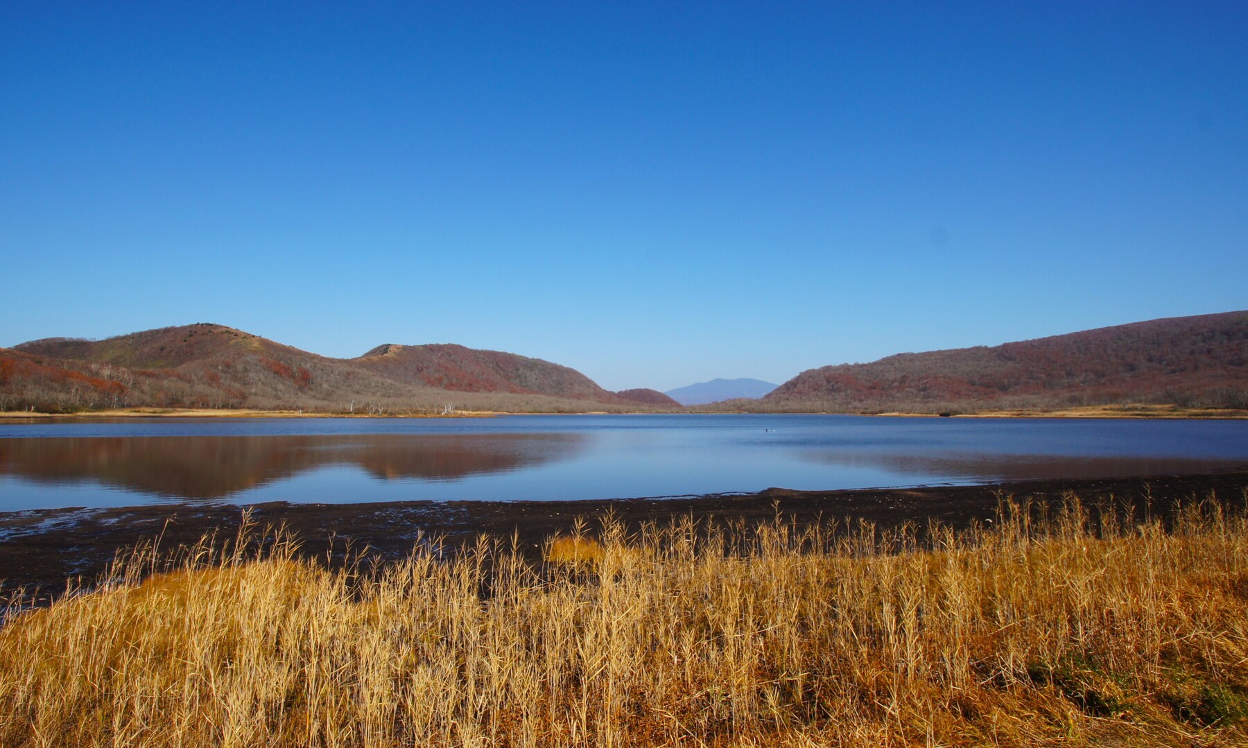 磐梯山・雄国山・赤埴山-2023-11-03 / hiroponさんの磐梯山・雄国山・赤埴山の活動日記 | YAMAP / ヤマップ