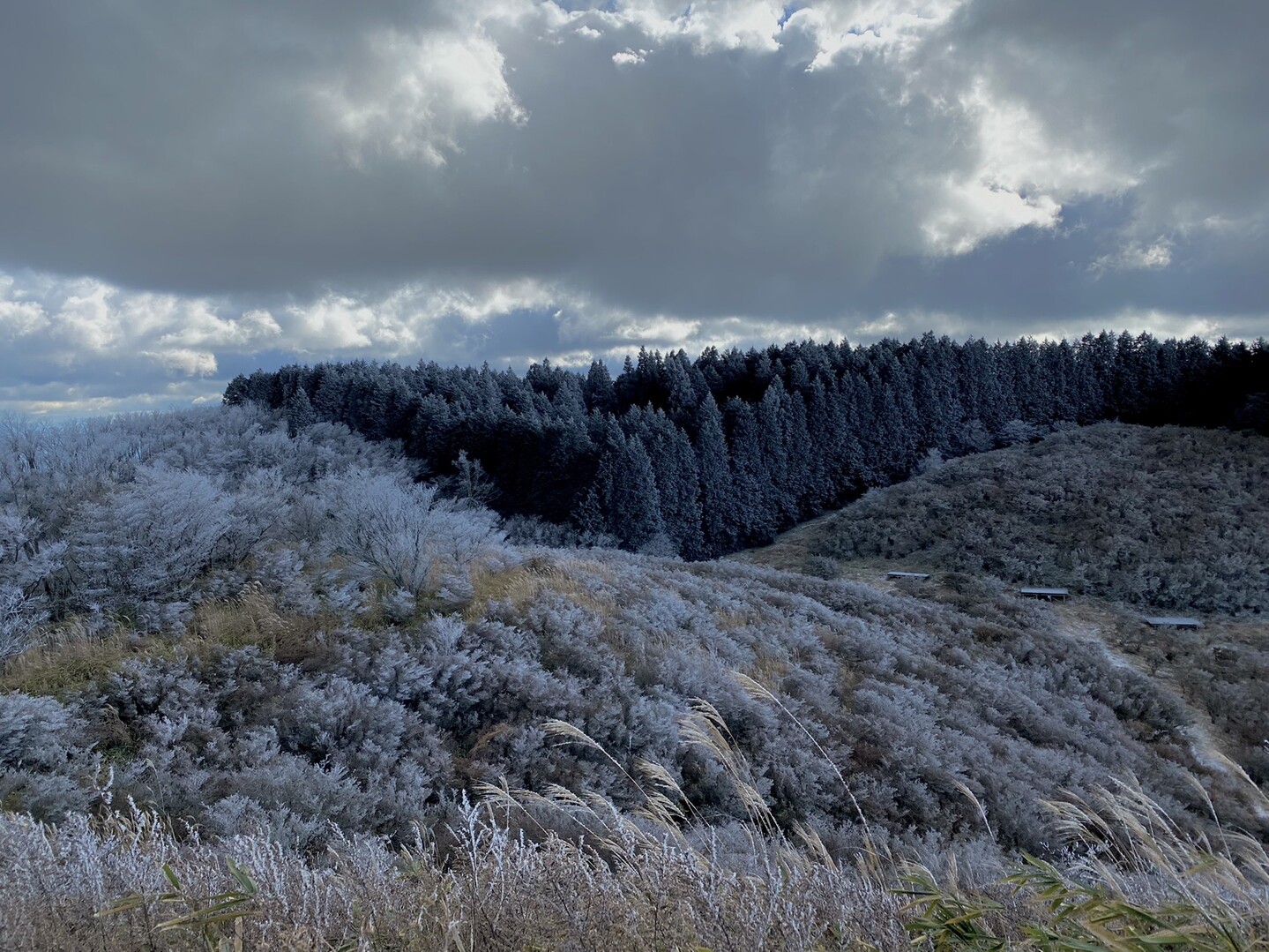 冬の葛城山 / fromj_tokさんの金剛山・二上山・大和葛城山の活動データ | YAMAP / ヤマップ
