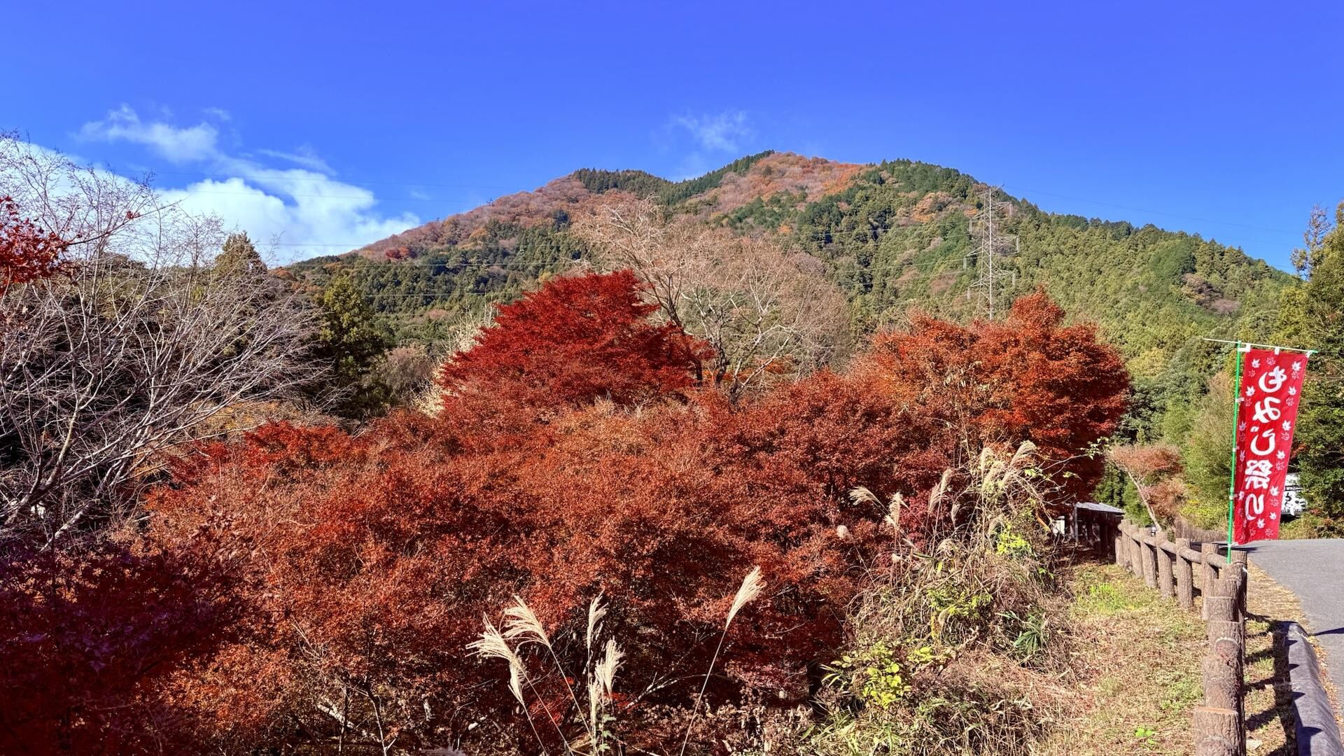 水沢もみじ谷ウォーキング2024🍁Day3 / ゴメス0712さんのウォーキングの活動データ | YAMAP / ヤマップ