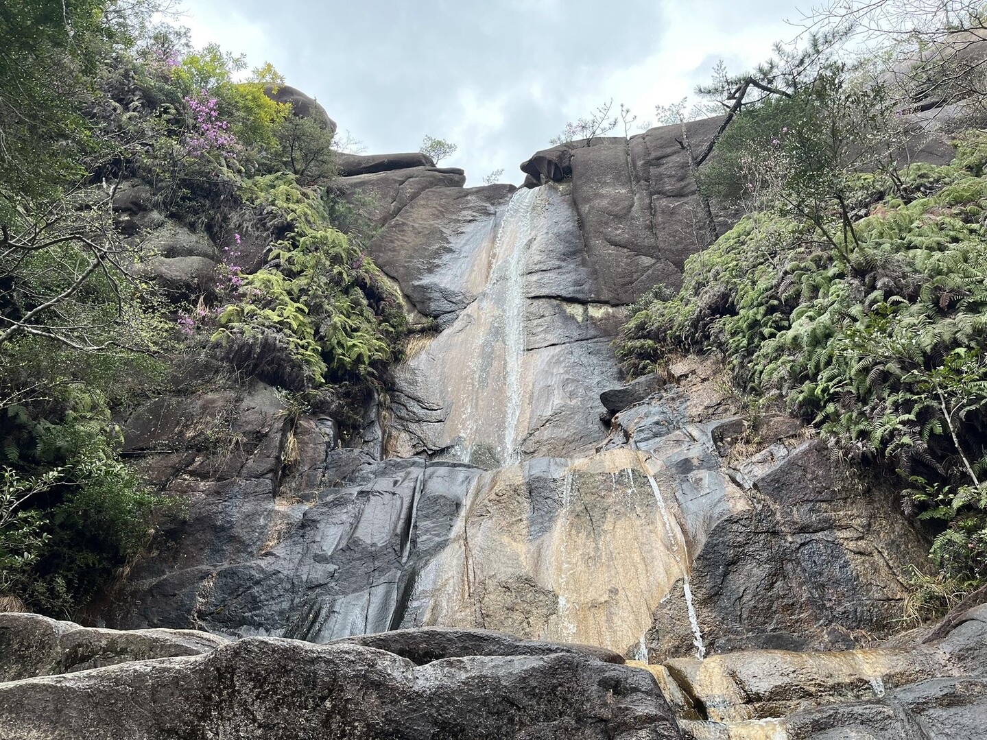 鶏冠山・天狗岩・竜王山 / TKSさんの金勝アルプス（鶏冠山・竜王山）の活動データ | YAMAP / ヤマップ