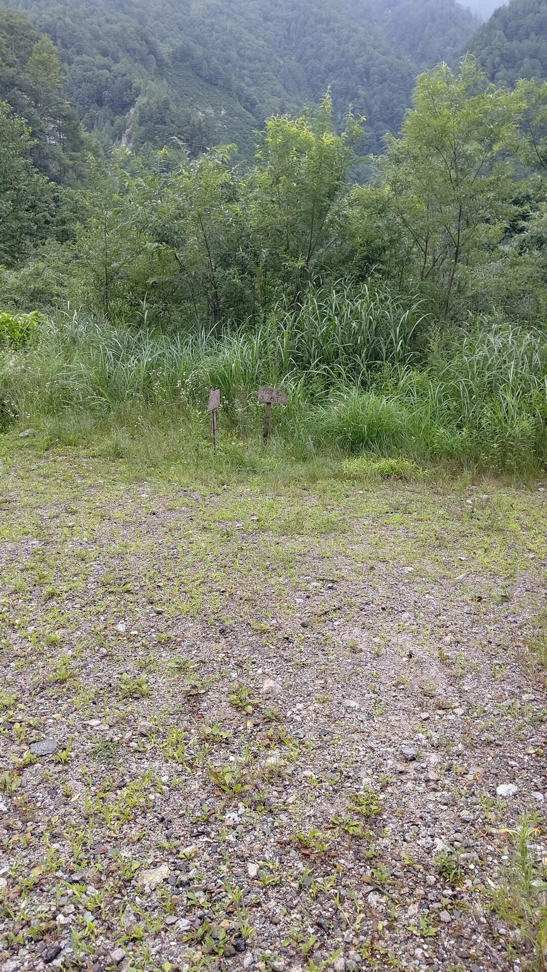 machi@さんの投稿したフィールドメモ | YAMAP / ヤマップ