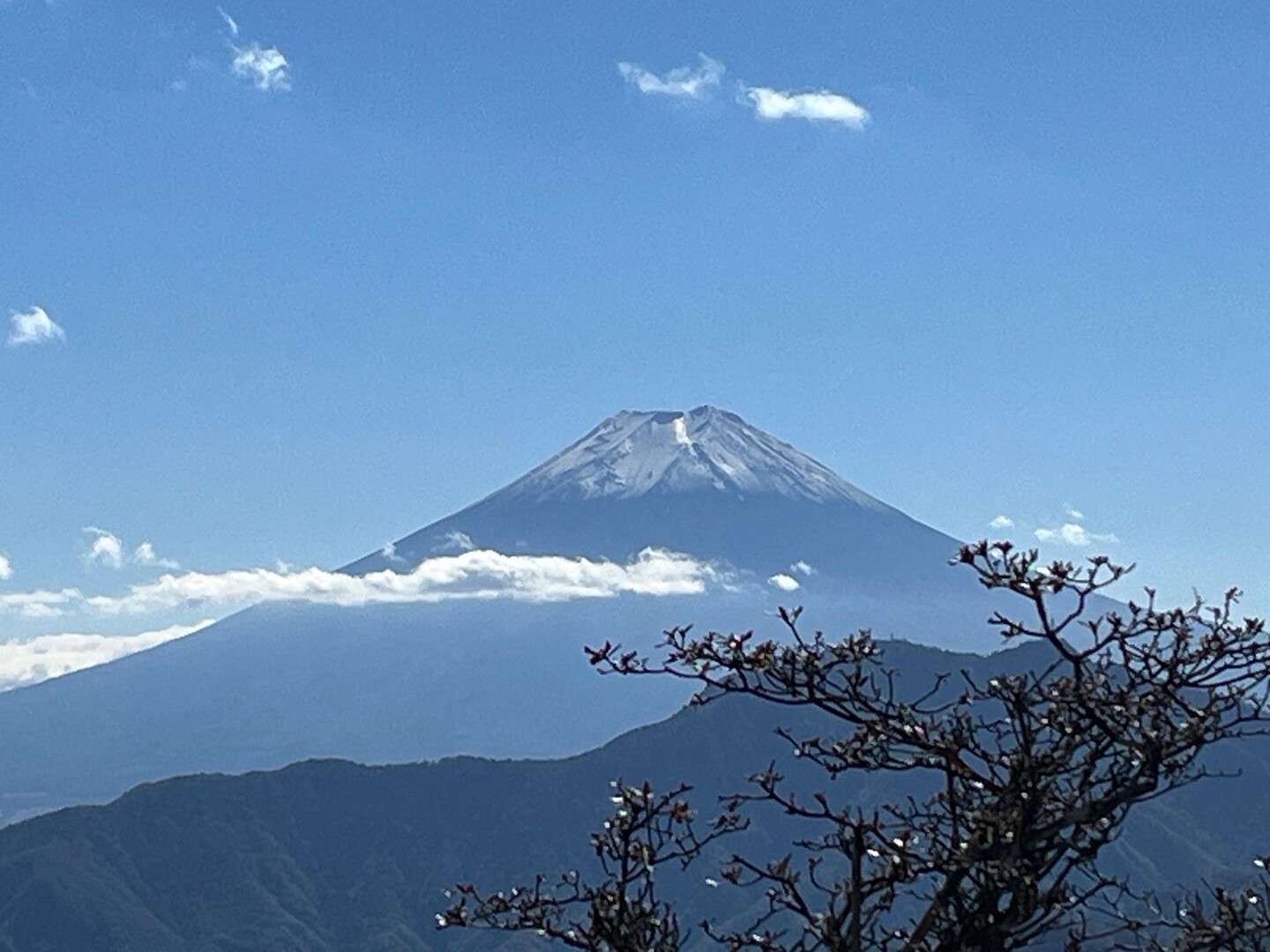 寂しょう尾根から滝子山へ🍁 / harumiさんの滝子山・大谷ヶ丸・笹子雁ヶ腹摺山の活動データ | YAMAP / ヤマップ