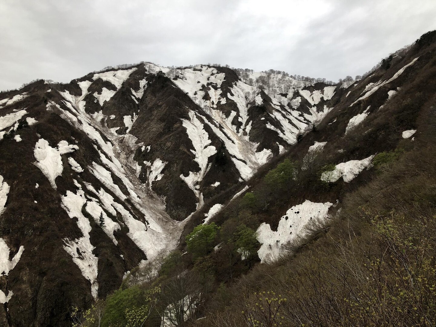 湯ノ沢岳 / mt.hiroさんの湯ノ沢岳・三ノ俣山の活動データ | YAMAP / ヤマップ