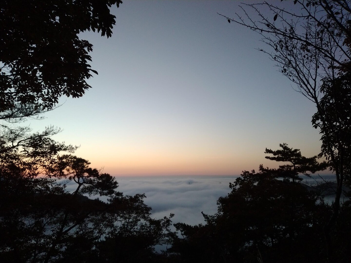 2022年11月22日 両崖山 紅葉🍁... / くりさんのモーメント | YAMAP / ヤマップ