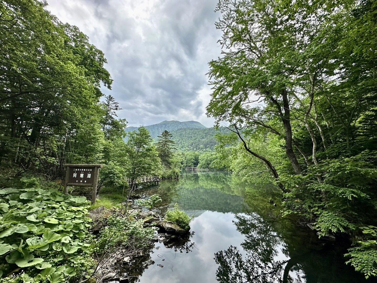 雄阿寒岳-2023-06-17 / TAKU-F26さんの雄阿寒岳の活動データ | YAMAP / ヤマップ