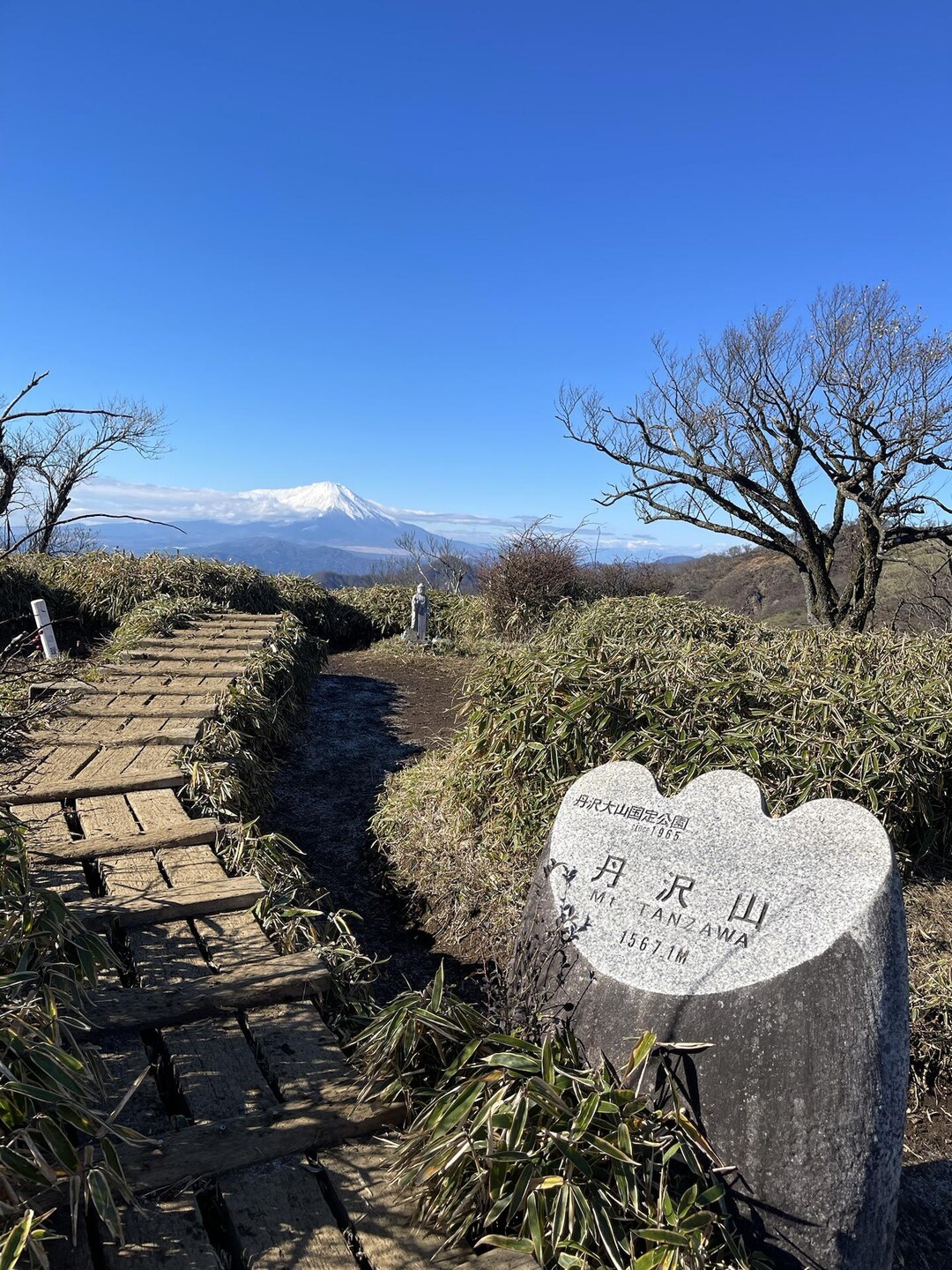 大倉バス停←→塔ノ岳 ←→丹沢山2024冬 / ekさんの塔ノ岳・丹沢山・蛭ヶ岳の活動データ | YAMAP / ヤマップ