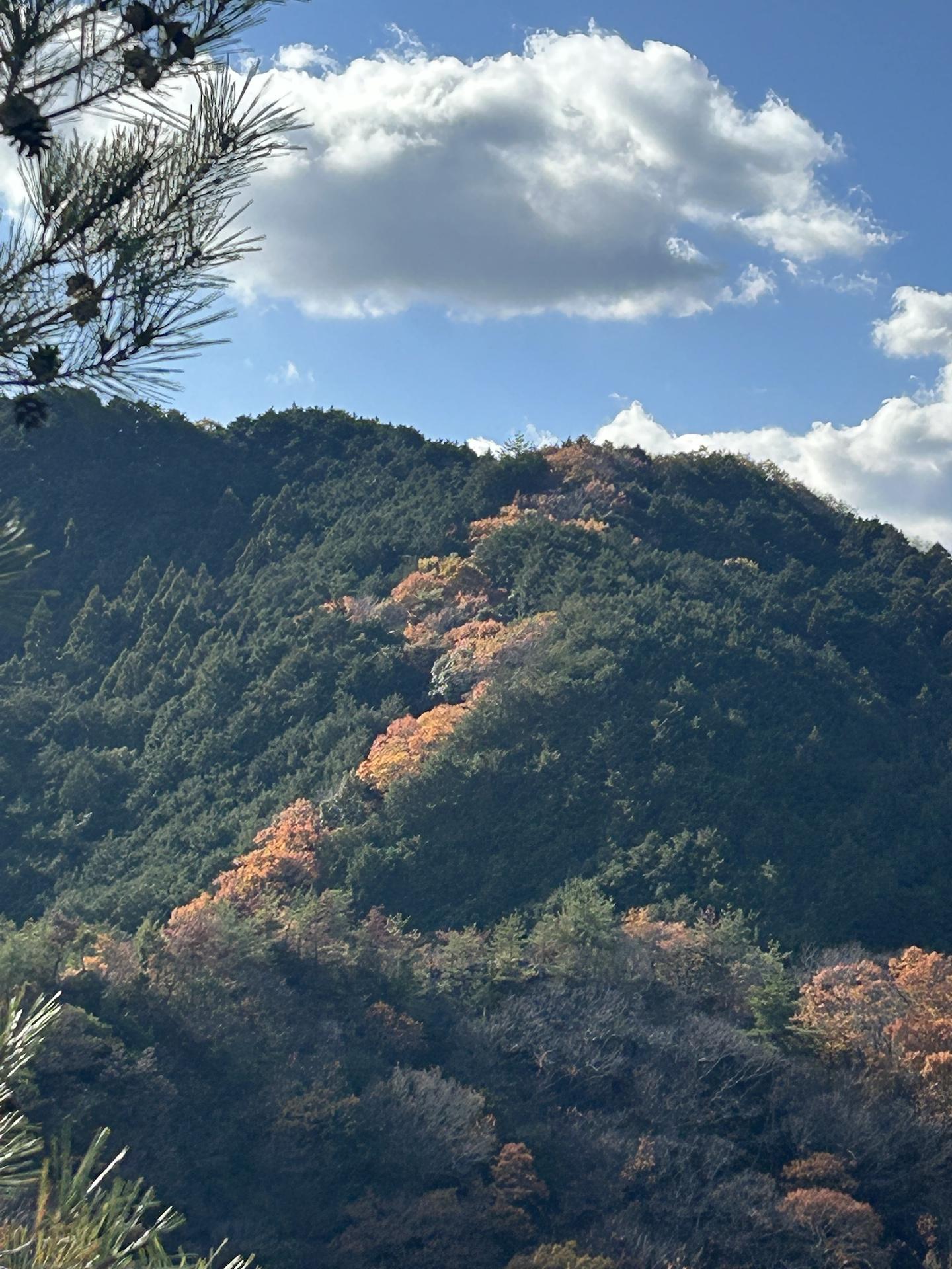 二上山 ⚡️紅葉 / KYOちゃんさんの葛城修験エリアマップ（二上山周辺）の活動データ | YAMAP / ヤマップ