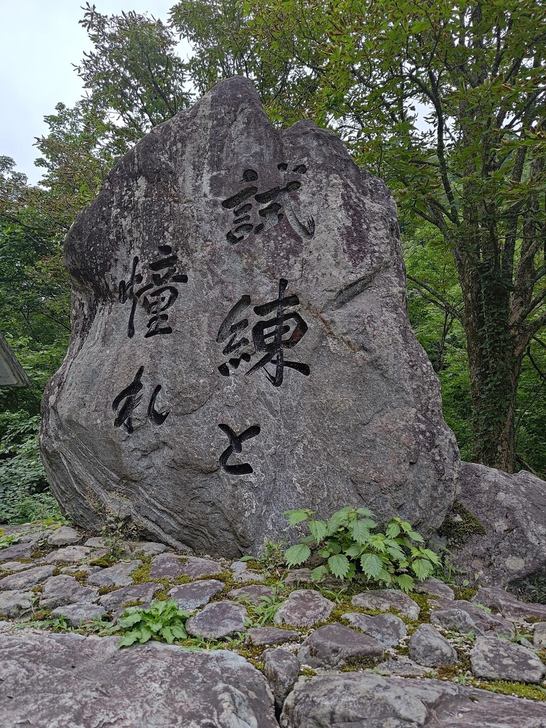剱岳〜憧れと試練〜早月尾根日帰り TJARも / poyさんの剱岳の活動日記 | YAMAP / ヤマップ