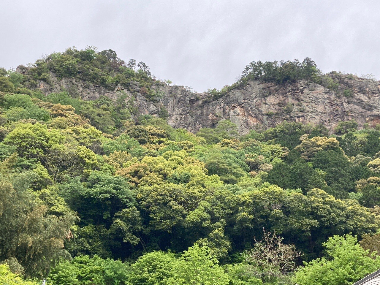 遠見山から納古山 奥さまも一緒 / assiさんの納古山の活動データ | YAMAP / ヤマップ