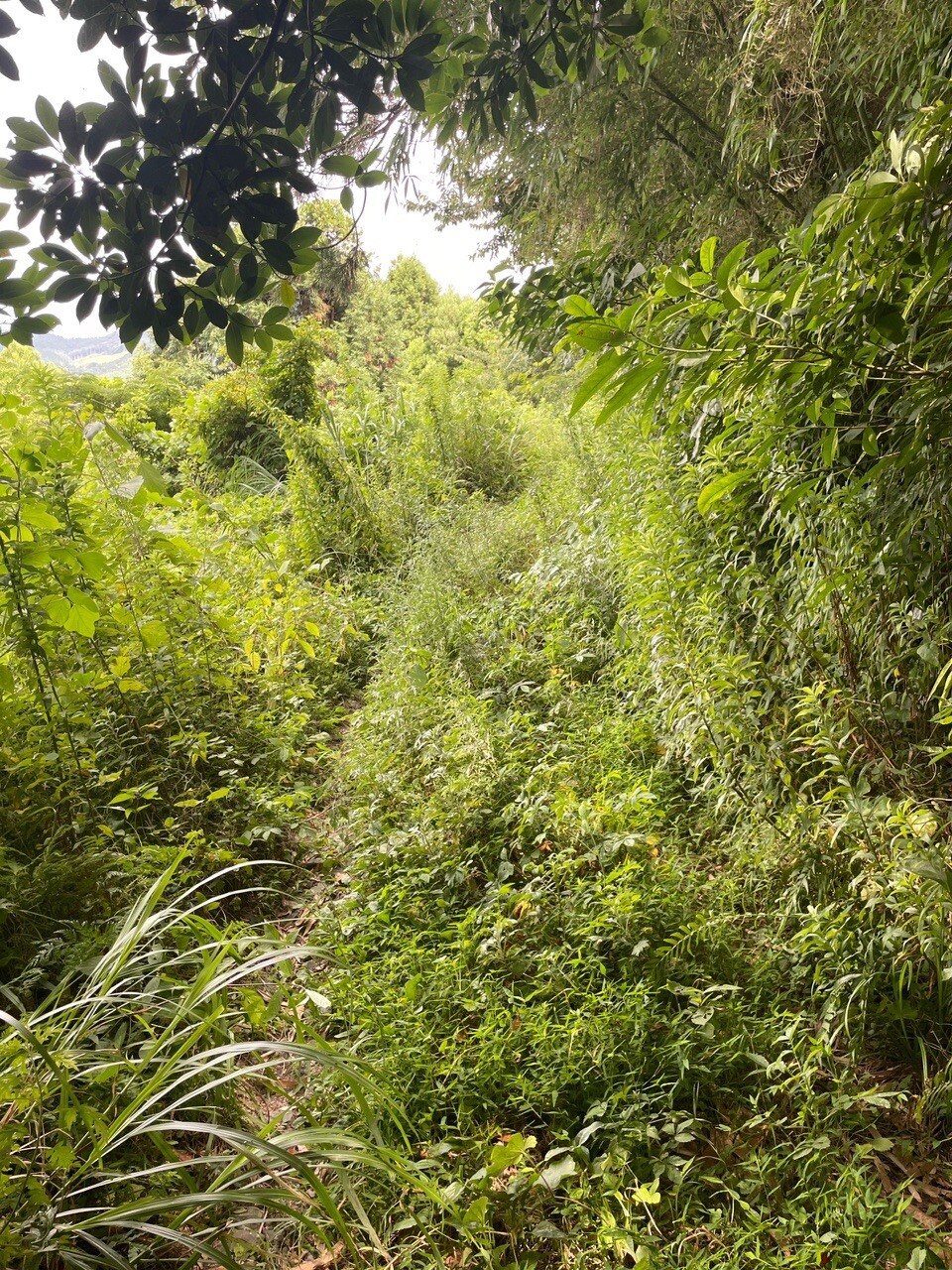 Kazさんの投稿したフィールドメモ | YAMAP / ヤマップ