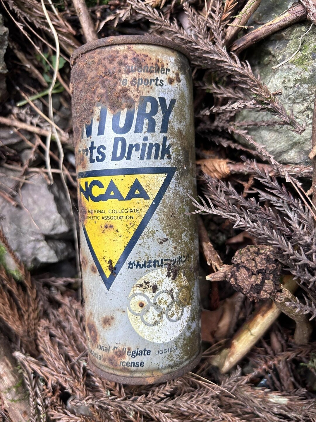 ウノタワ / MC HIROさんの武甲山・伊豆ヶ岳・小持山の活動データ | YAMAP / ヤマップ