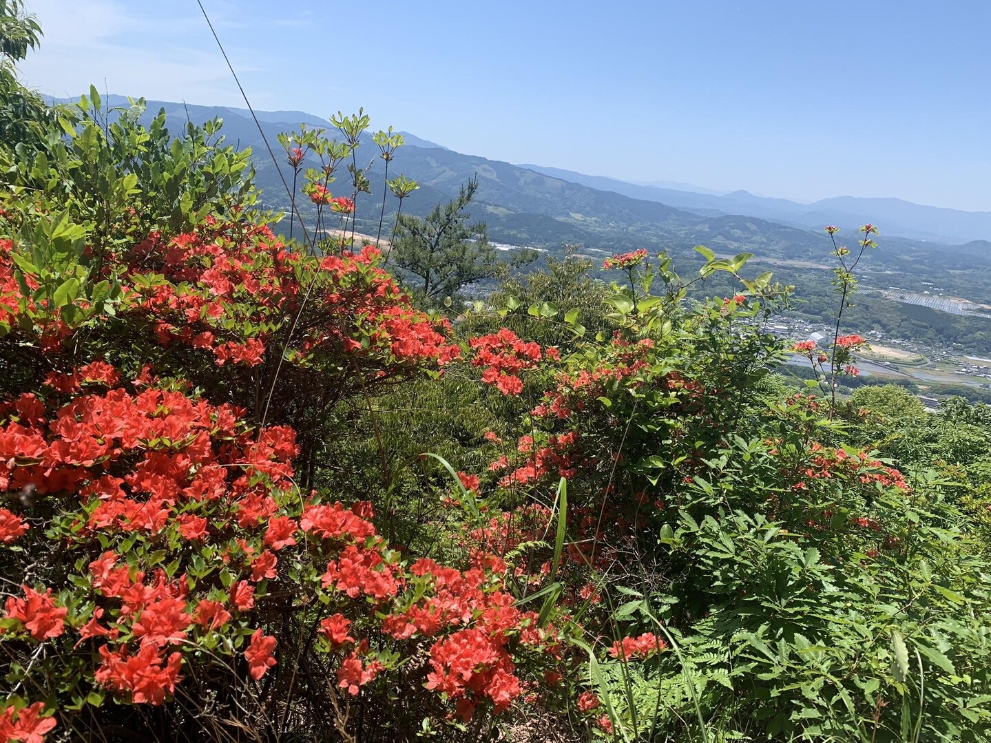 岩石山 / Nonさんの岩石山（岩石城）の活動データ | YAMAP / ヤマップ
