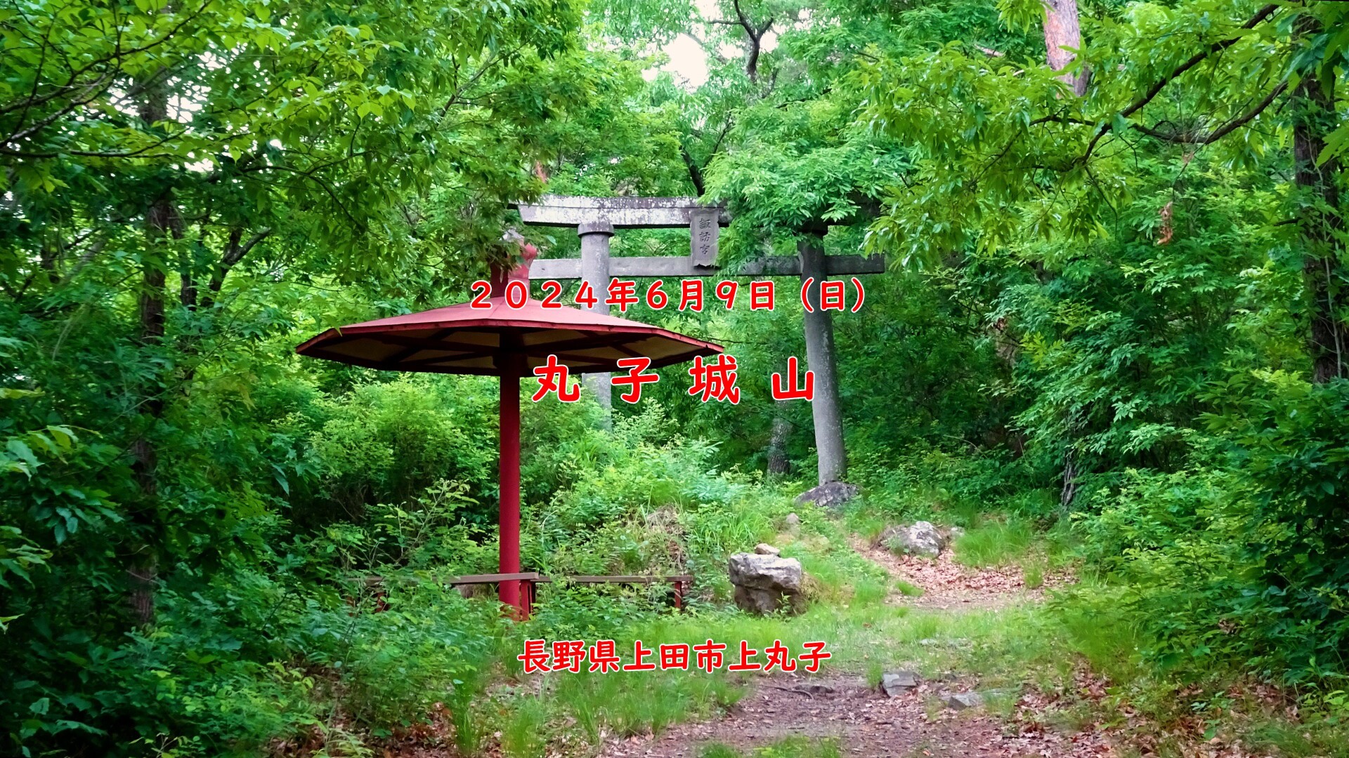 丸子城山の動画公開しました。 http... / もふもふさんのモーメント | YAMAP / ヤマップ