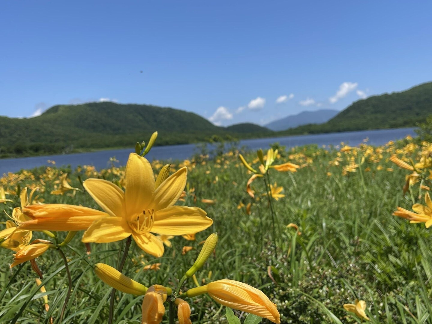 雄国沼、一周してみました🚶〜猫魔ヶ岳😺、厩岳山⛰️ / chi-zuさんの磐梯山・雄国山・赤埴山の活動データ | YAMAP / ヤマップ