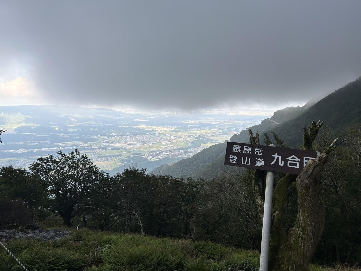 天狗岩・頭陀ヶ平 / BPさんの藤原岳・御池岳の活動データ | YAMAP / ヤマップ