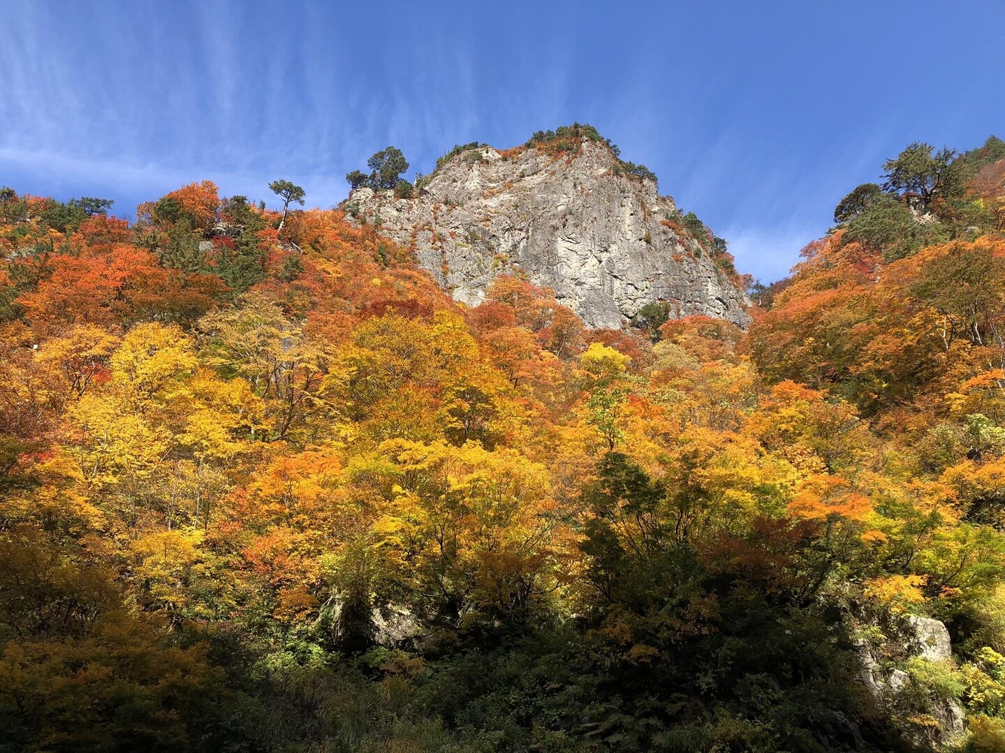 (2/2)裏巻機渓谷散策-2022-11-03 / krnさんの巻機山・割引岳・金城山の活動データ | YAMAP / ヤマップ