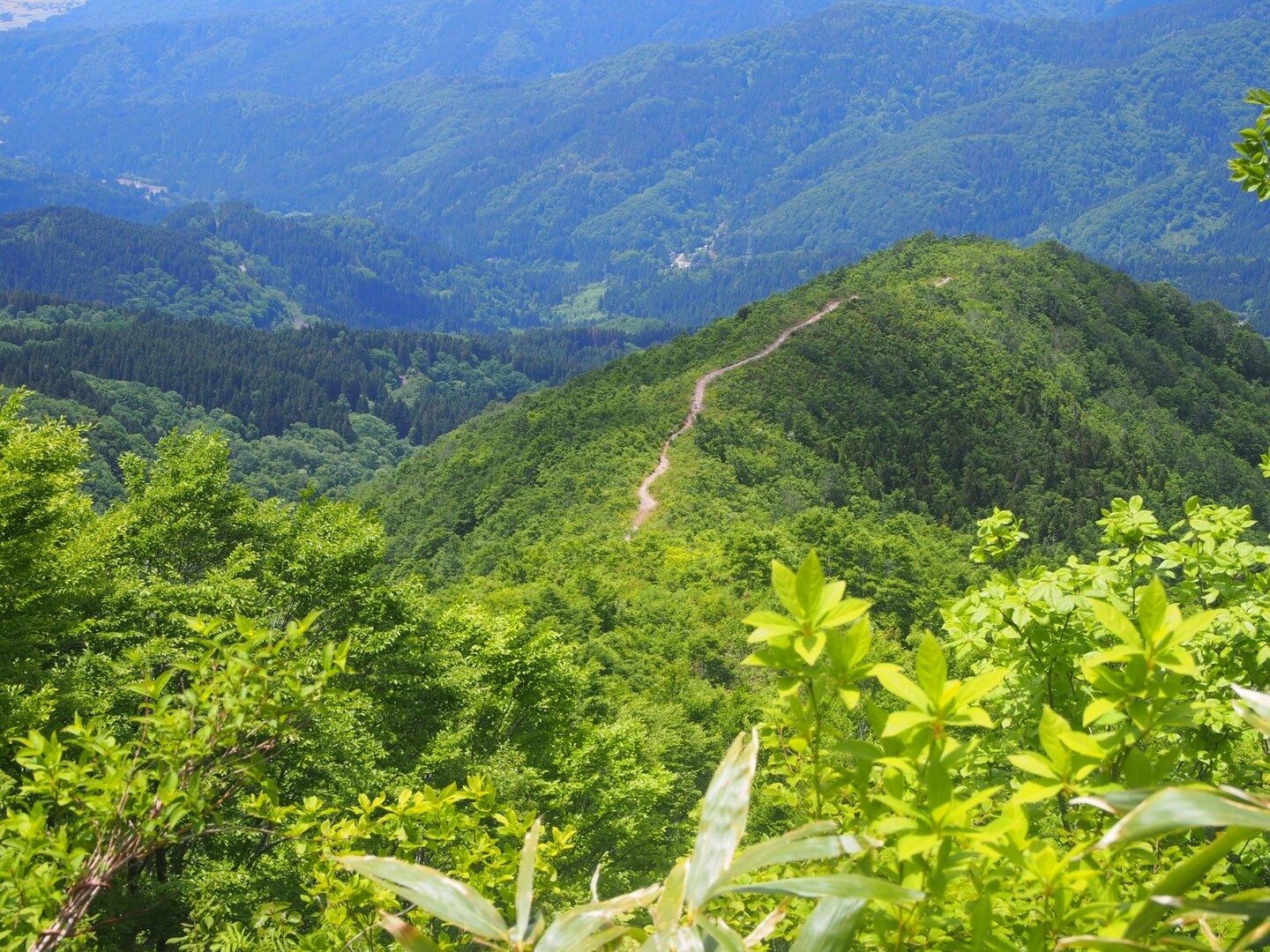 取立山⛰️こつぶり山⛰️ / ayumiさんのウォーキングの活動データ | YAMAP / ヤマップ