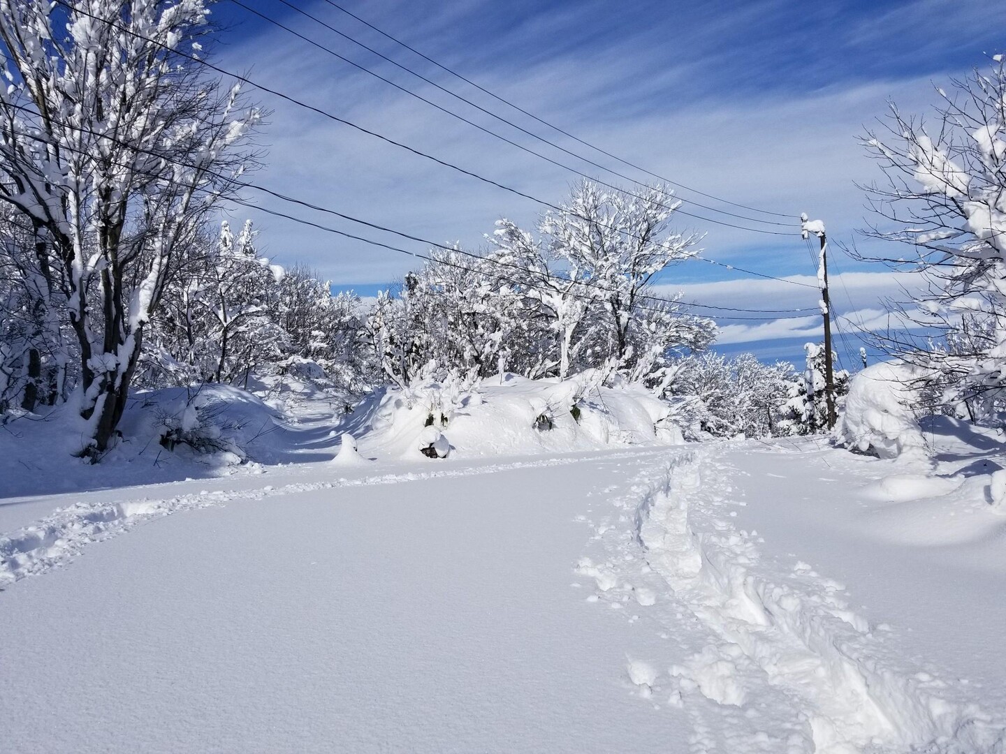 山本山沢山ポケットパーク-2023-12-24 / ta-さんの時水城山・丸山の活動データ | YAMAP / ヤマップ