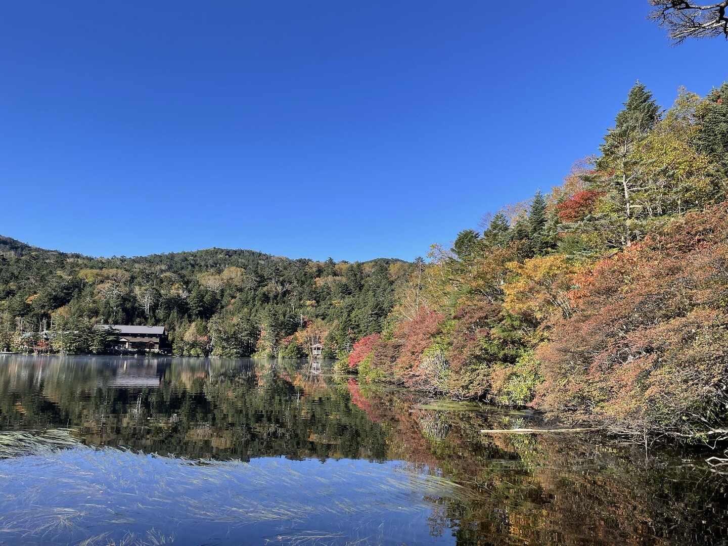 ニュウ・中山 / miyuさんの八ヶ岳（赤岳・硫黄岳・天狗岳）の活動データ | YAMAP / ヤマップ