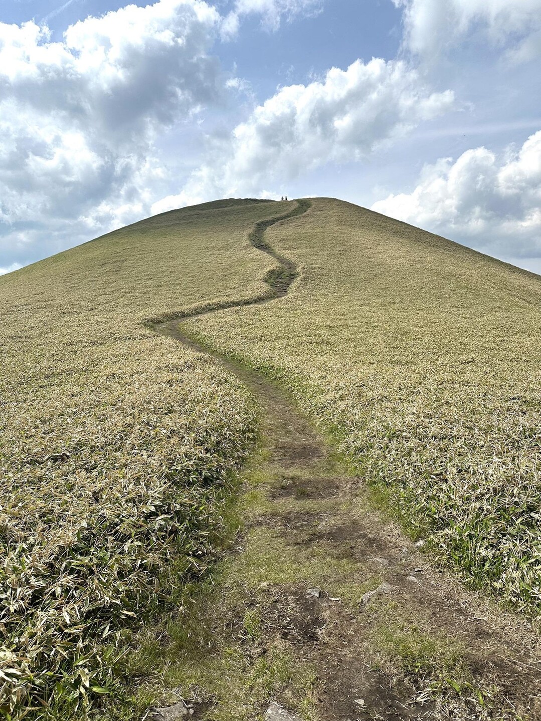 三峰山 / mami ♧︎さんの鉢伏山・高ボッチ山・三峰山の活動データ | YAMAP / ヤマップ