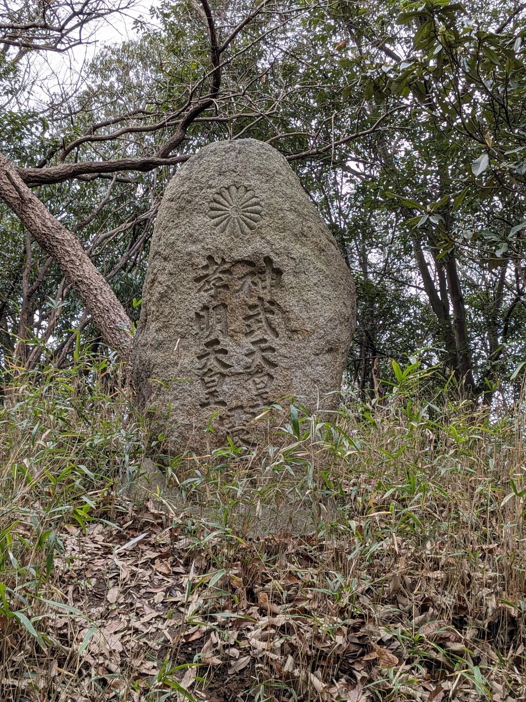 甲山 弥谷寺から道隆寺まで / h3さんの我拝師山・筆ノ山・火上山の活動データ | YAMAP / ヤマップ