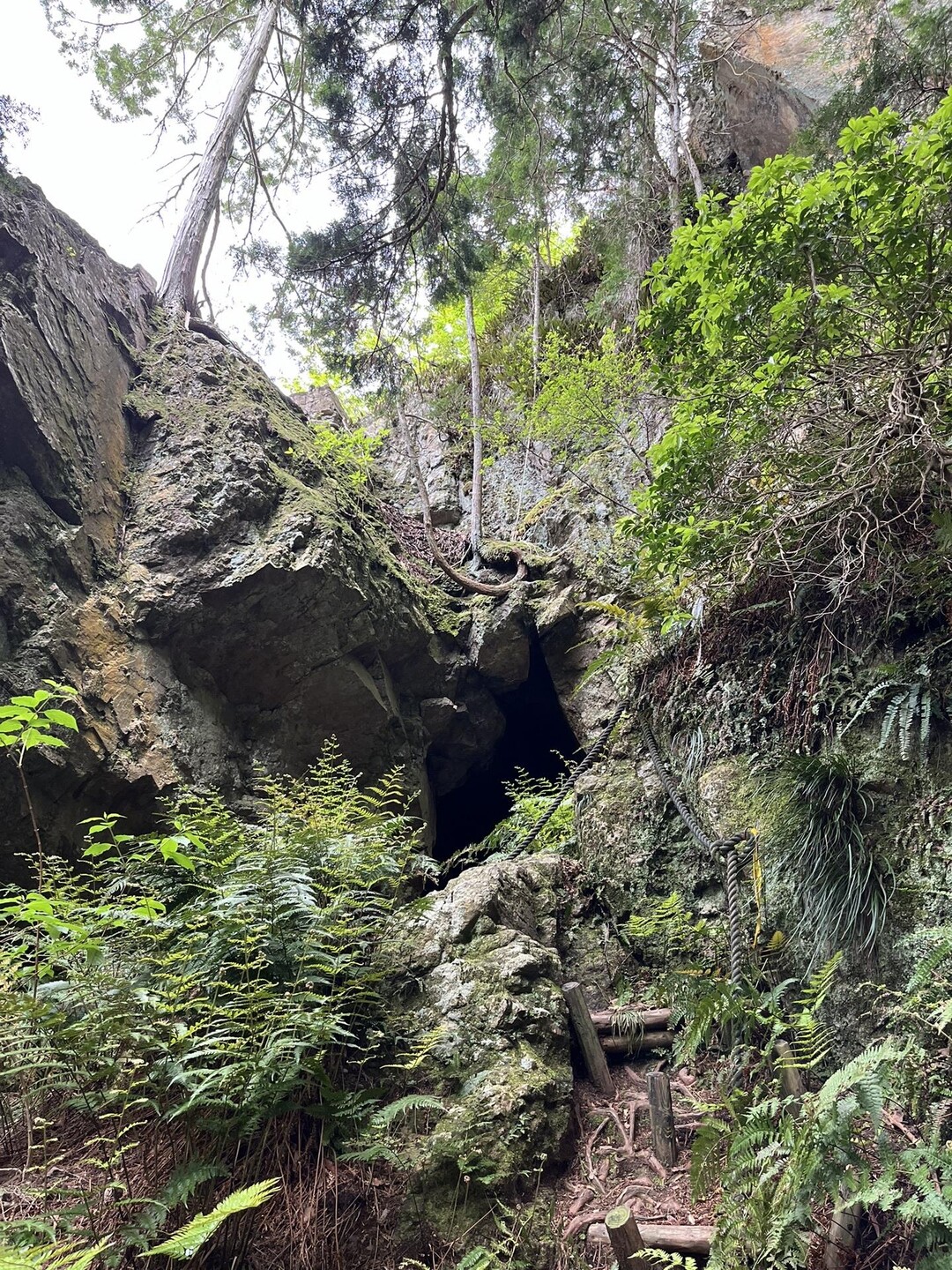 三上山の奇妙な"巨大生物"に遭遇！？ / kodeanさんの三上山・鏡山の活動データ | YAMAP / ヤマップ