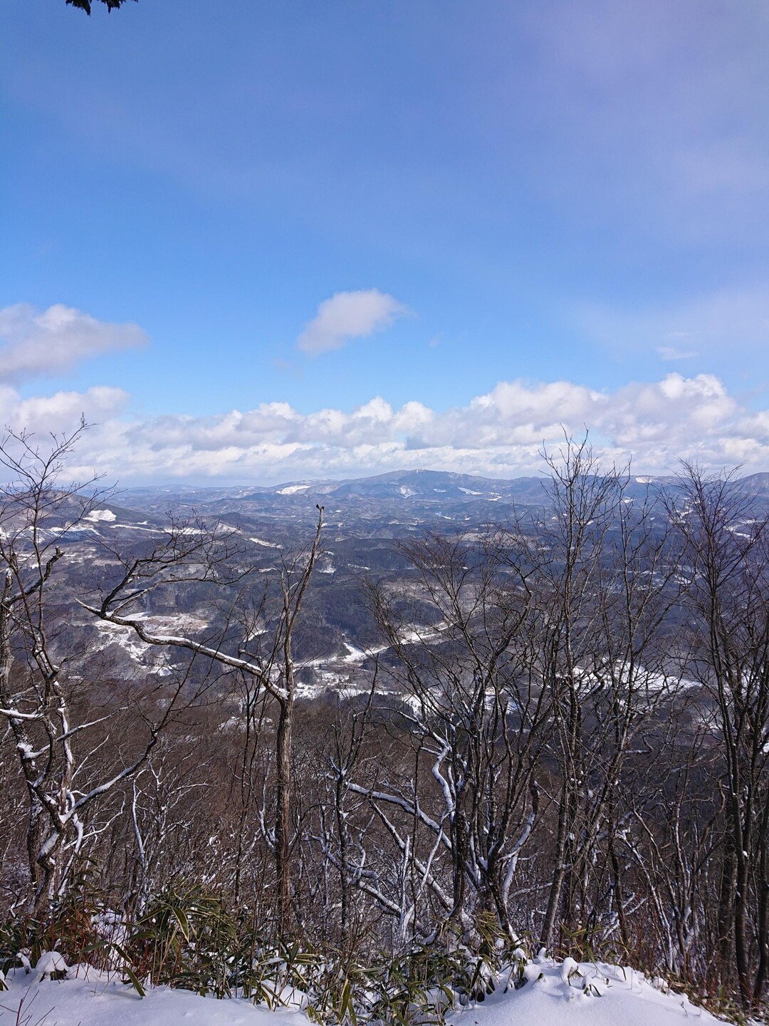 蓬田岳 / TWOさんの蓬田岳の活動データ | YAMAP / ヤマップ