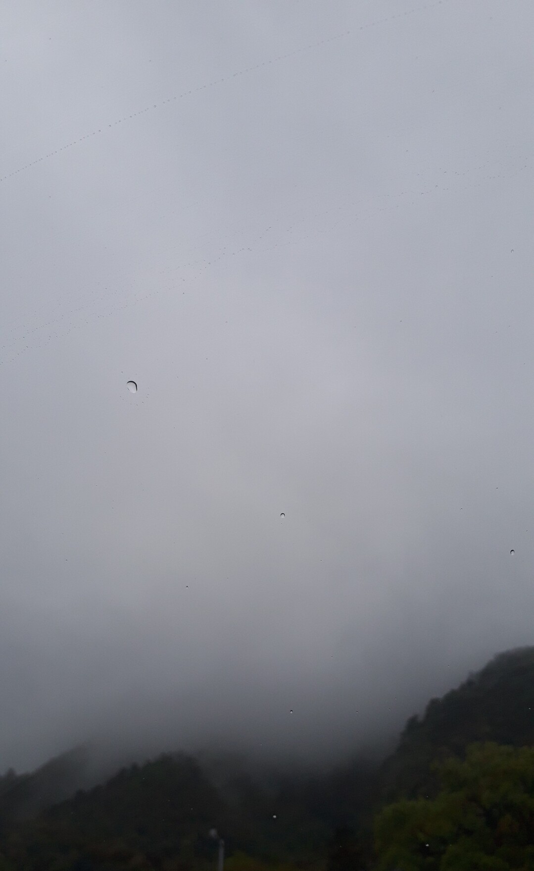 【今日の金華山】 おはようございます ... / ☆•*¨*•.¸¸🧞‍♂️ Genie (ma-2) 🧞‍♂️•*¨*•.¸¸☆さんのモーメント | YAMAP / ヤマップ