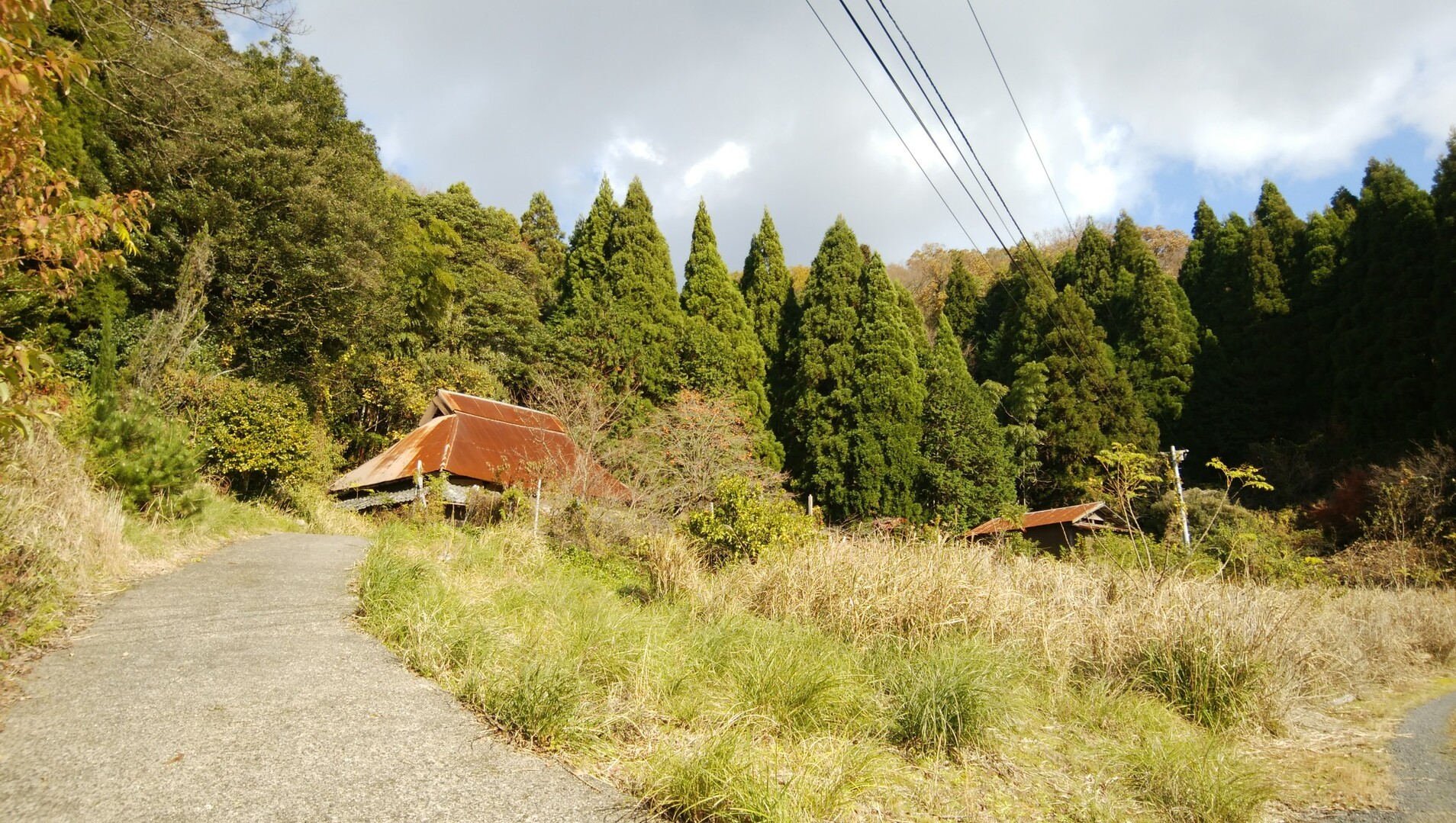 林道湯屋谷線終点の井出樋（ｲﾃﾞﾝﾄ）よ... / さんちょtbさんのモーメント | YAMAP / ヤマップ