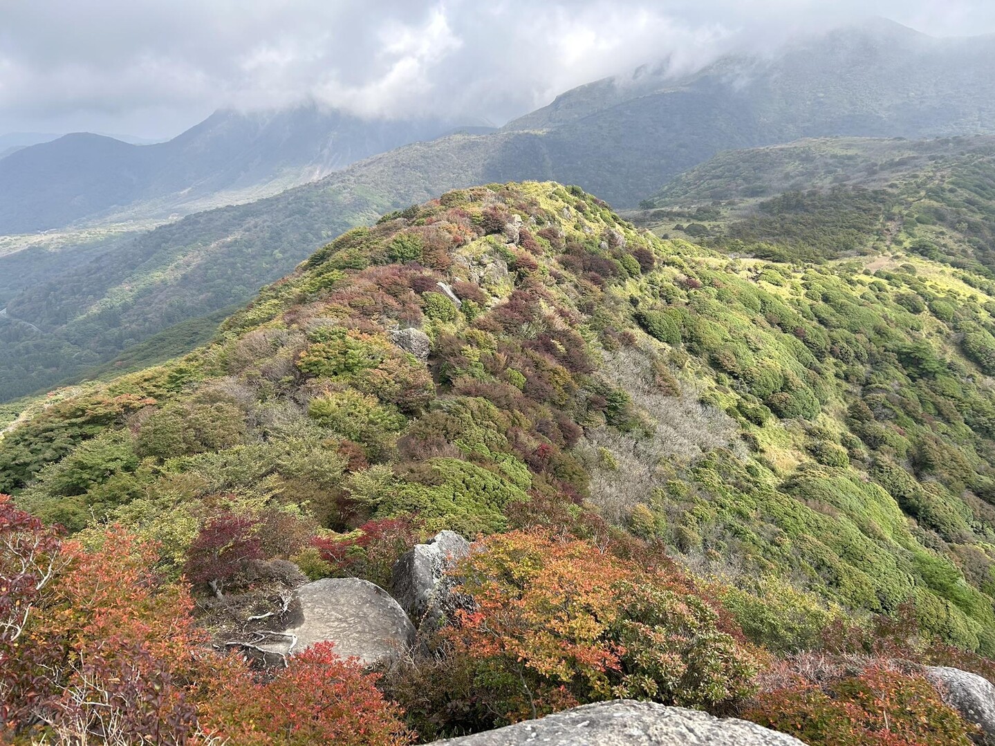 とにかく誰かに会いたくて ( ﾉﾟ∀ﾟ)ﾉ星生山。 / datinさんの九重山（久住山）・大船山・星生山の活動データ | YAMAP / ヤマップ