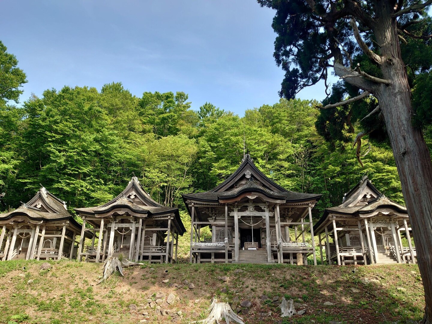 毛無山③・本山③・真山②〜お山かけ〜東北自然歩道秋田NO40 / aer0ckさんの男鹿半島の活動データ | YAMAP / ヤマップ