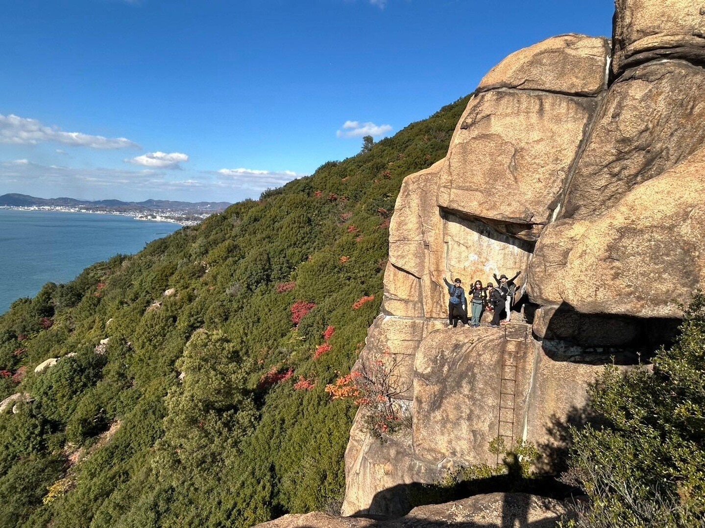 新割山（王子が岳）・矢出山・瓶割山 / Rayさんの王子が岳・神登山・臥竜山の活動データ | YAMAP / ヤマップ