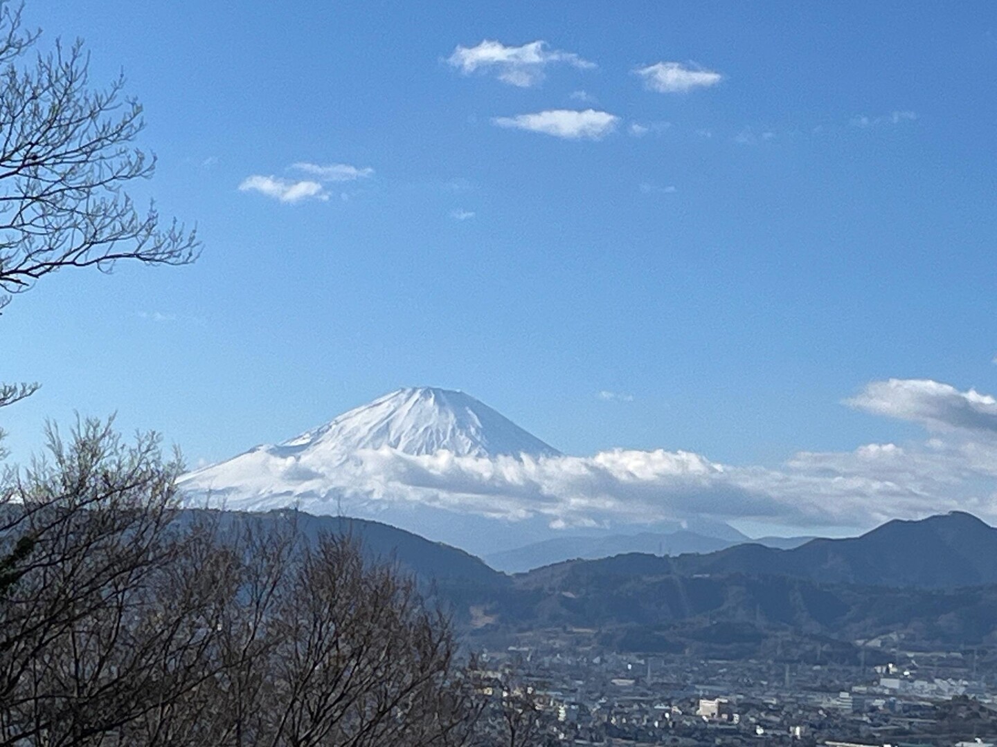 登り初めは大山から♬ / harumiさんの大山の活動データ | YAMAP / ヤマップ