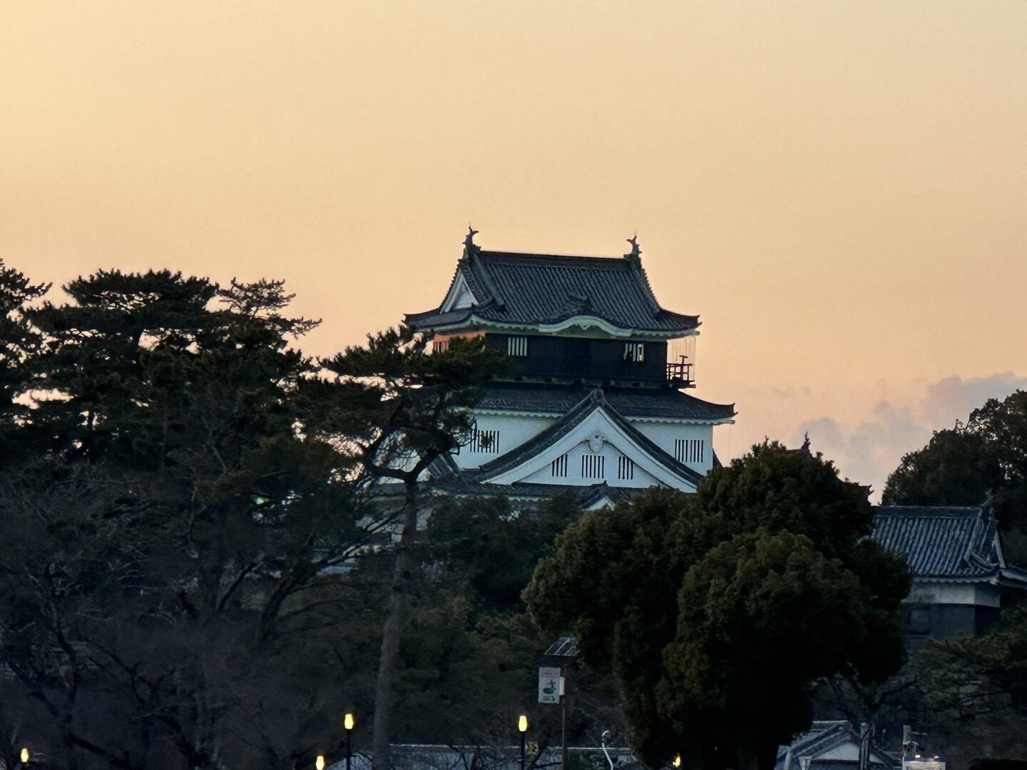 週末は岡崎市の市内を流れる乙川河川敷でキ... / Pineさんのモーメント | YAMAP / ヤマップ