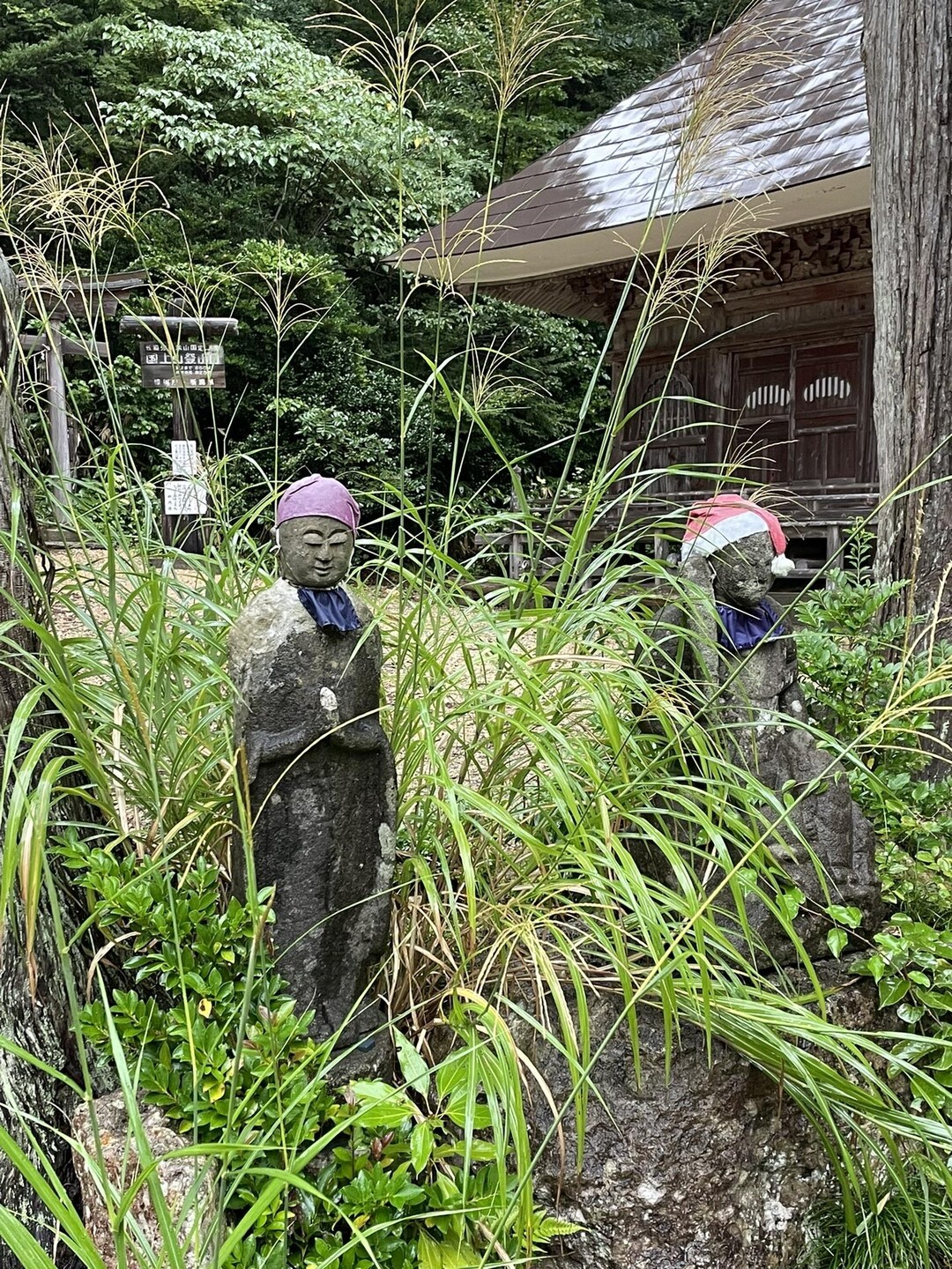 栗拾い🌰からの国上山☔️ / yumaさんの弥彦山・多宝山・雨乞山の活動データ | YAMAP / ヤマップ
