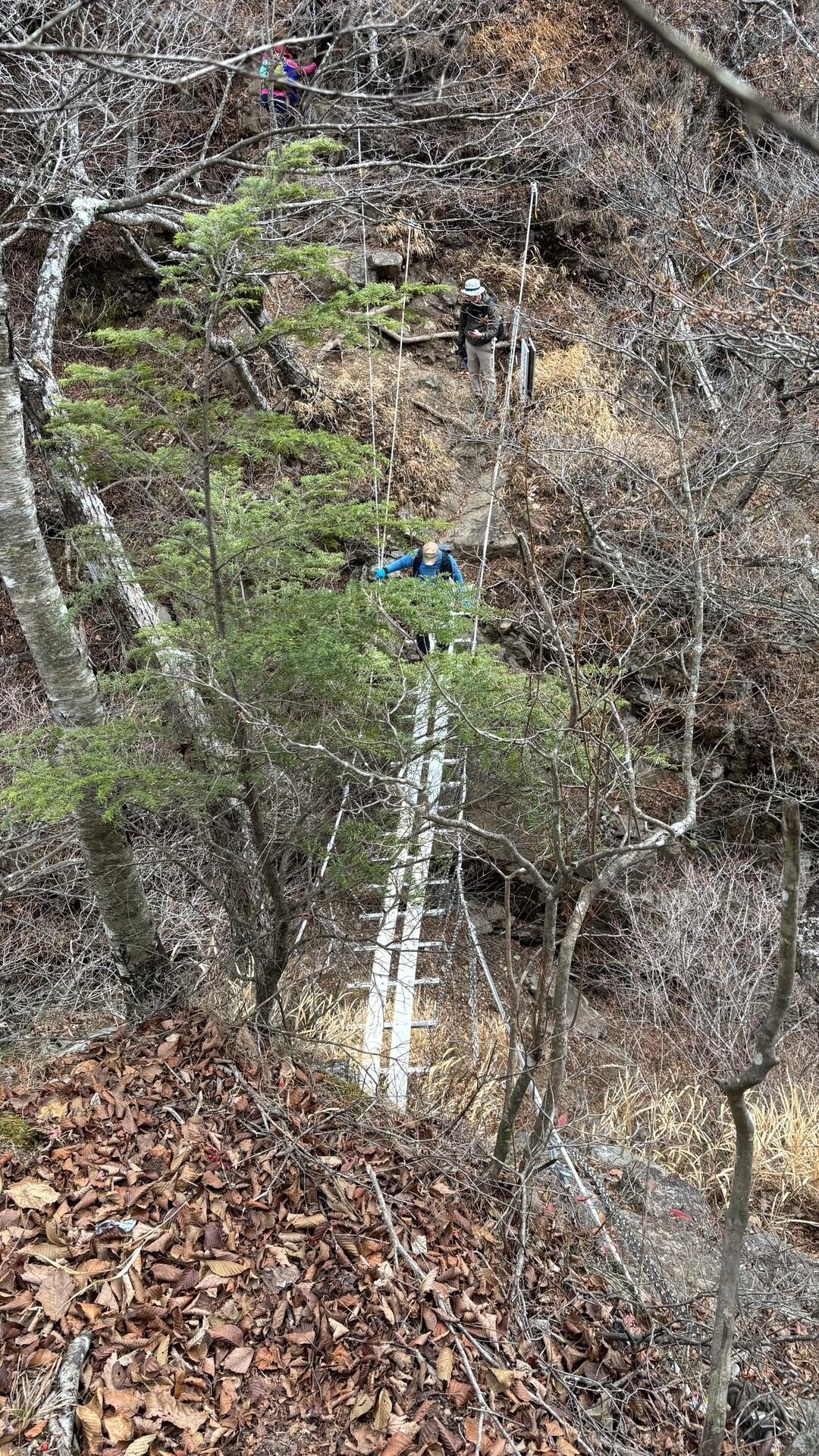 十二ヶ岳・節刀ヶ岳・鬼ヶ岳 / Masa.Rさんの節刀ヶ岳・破風山・足和田山の活動データ | YAMAP / ヤマップ