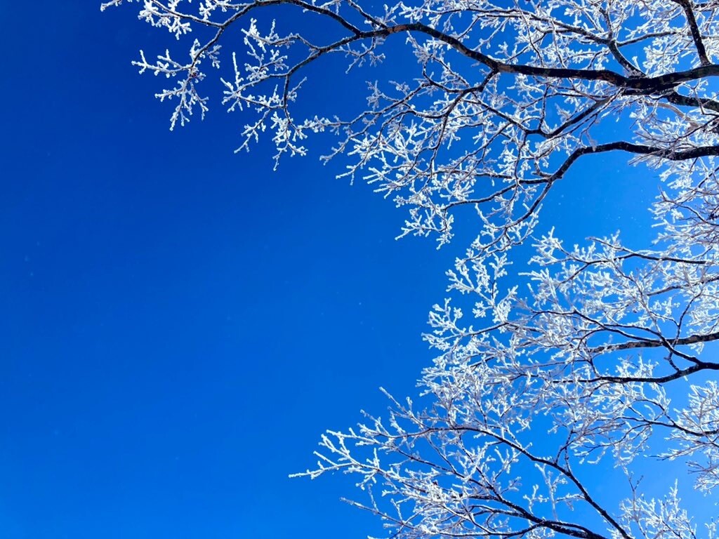 risaのページ | YAMAP / ヤマップ