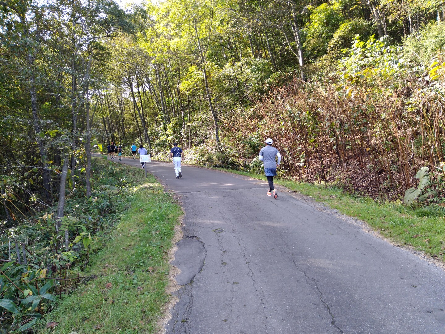 新嵐山トレラン大会 / AKKIさんの新嵐山の活動データ | YAMAP / ヤマップ